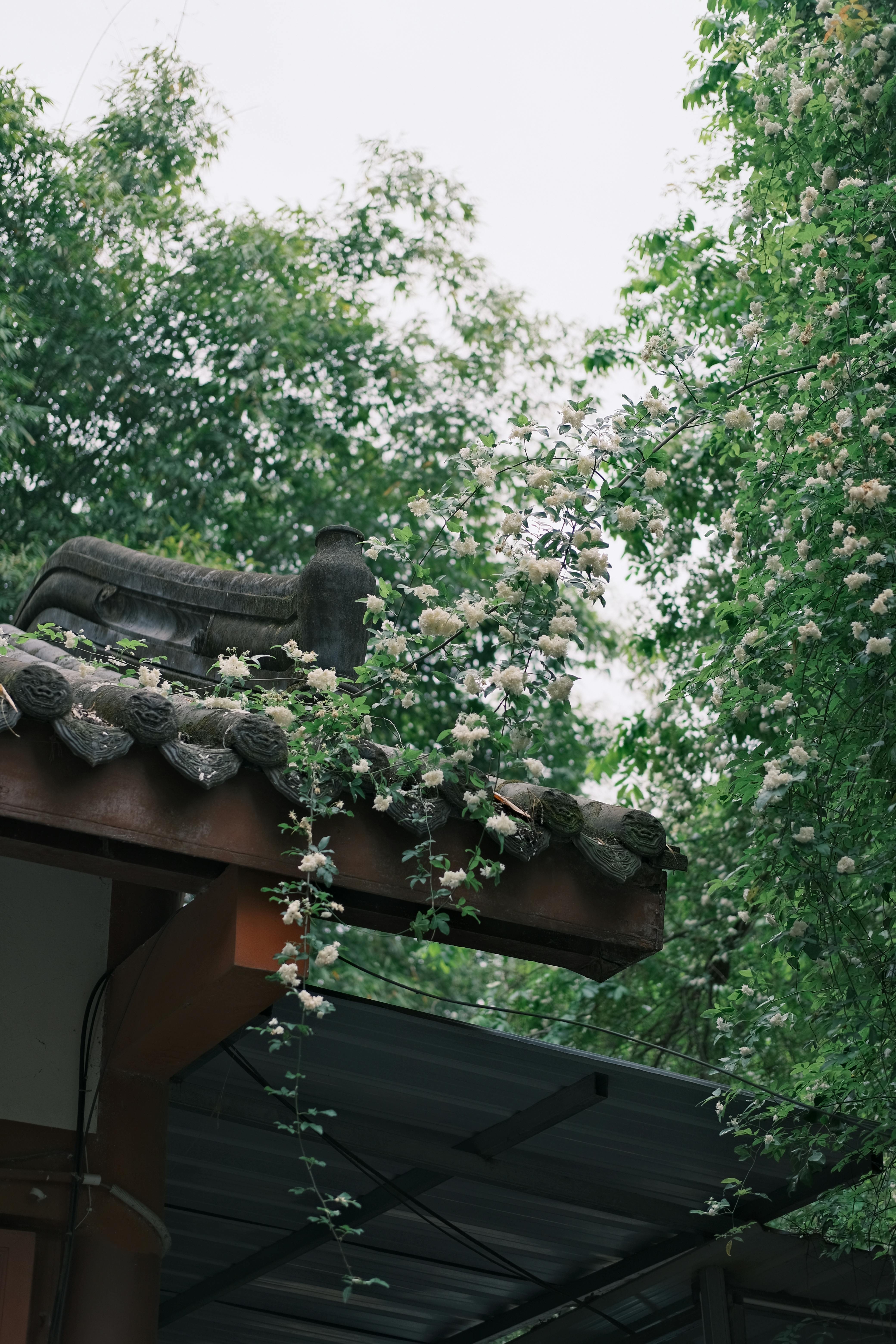 Nag Temple Photos, Download The BEST Free Nag Temple Stock Photos & HD ...