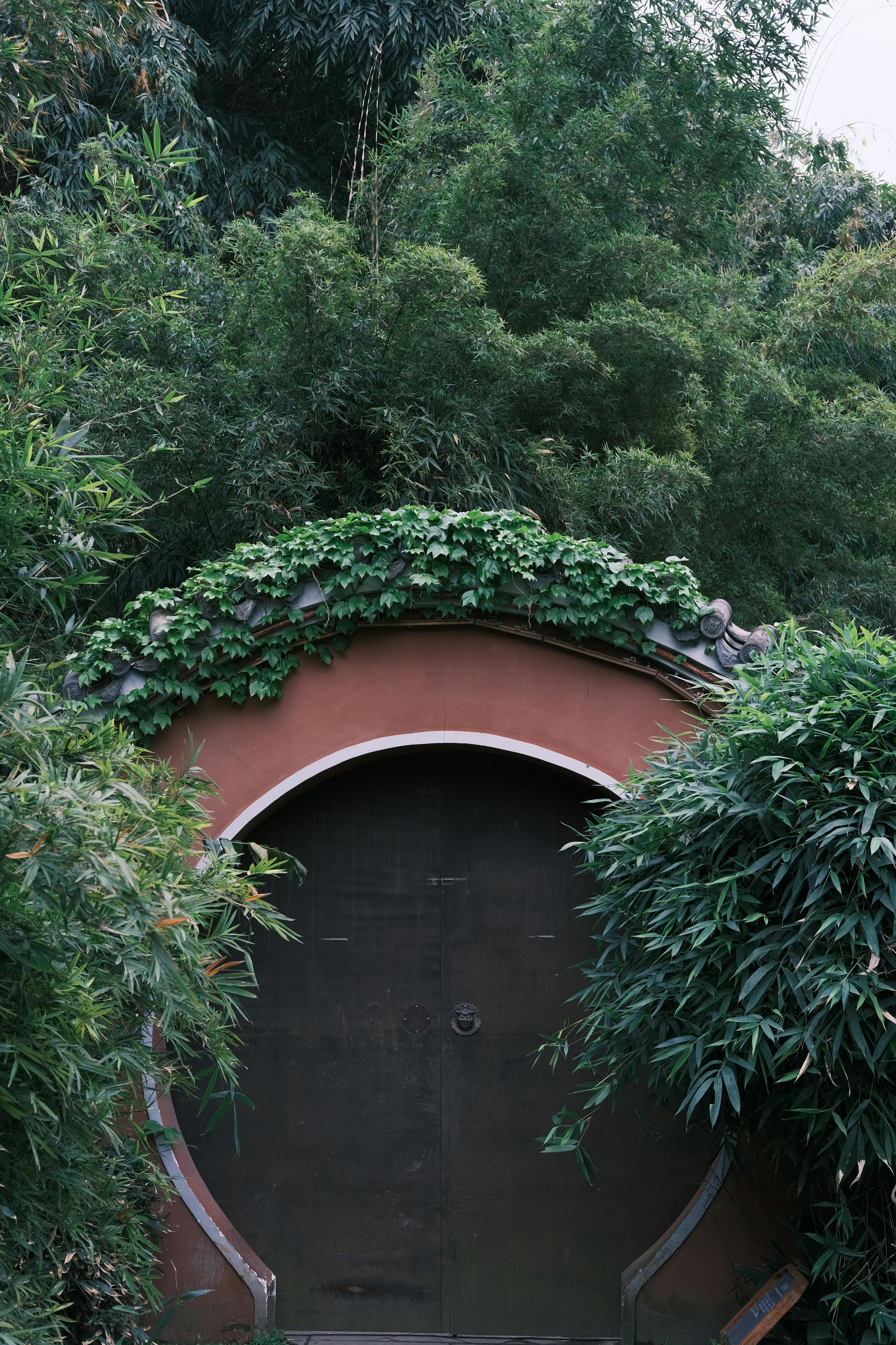 Forest Trees around Gate · Free Stock Photo
