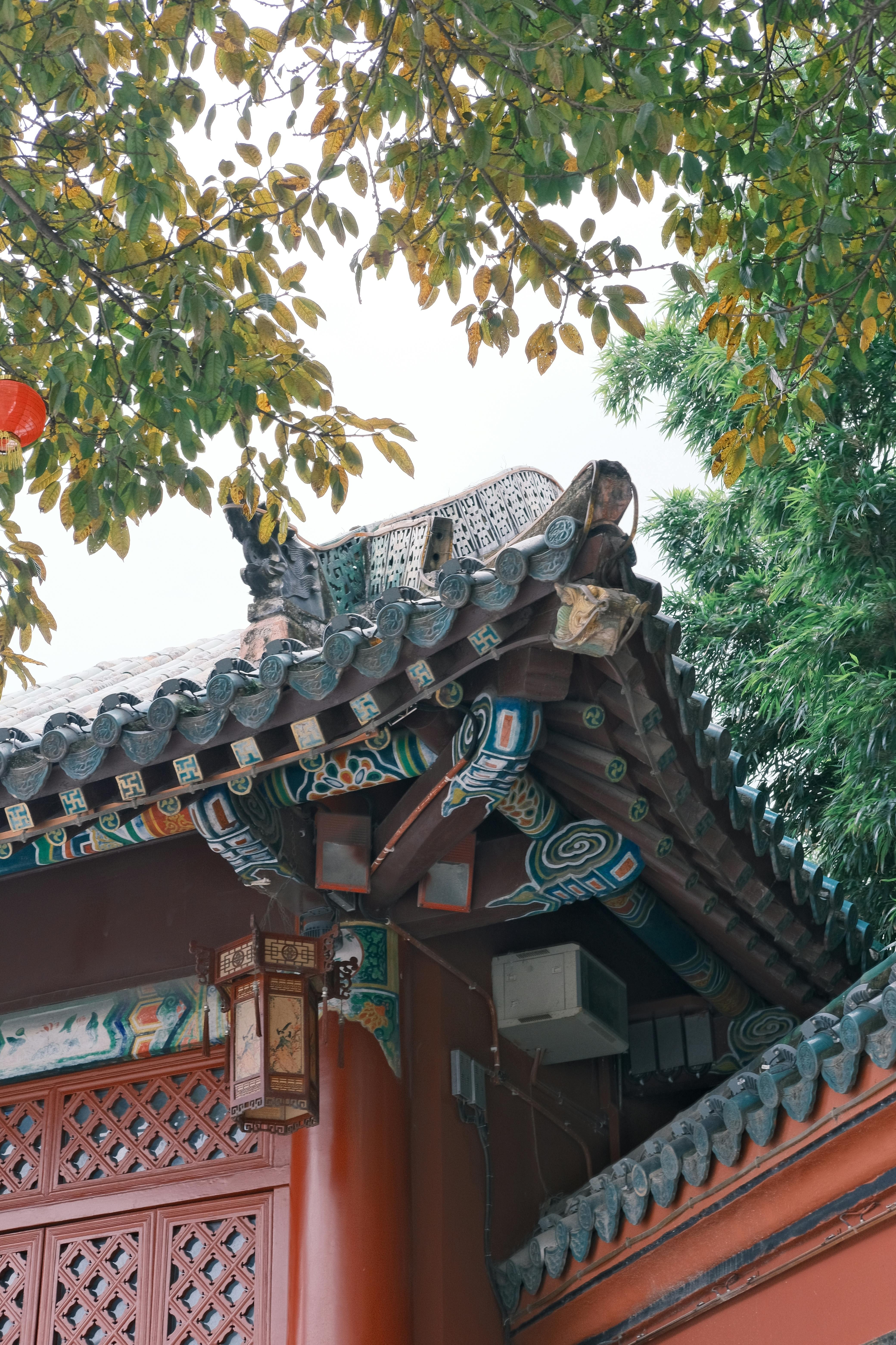 Tree Leaves over Buddhist Temple · Free Stock Photo