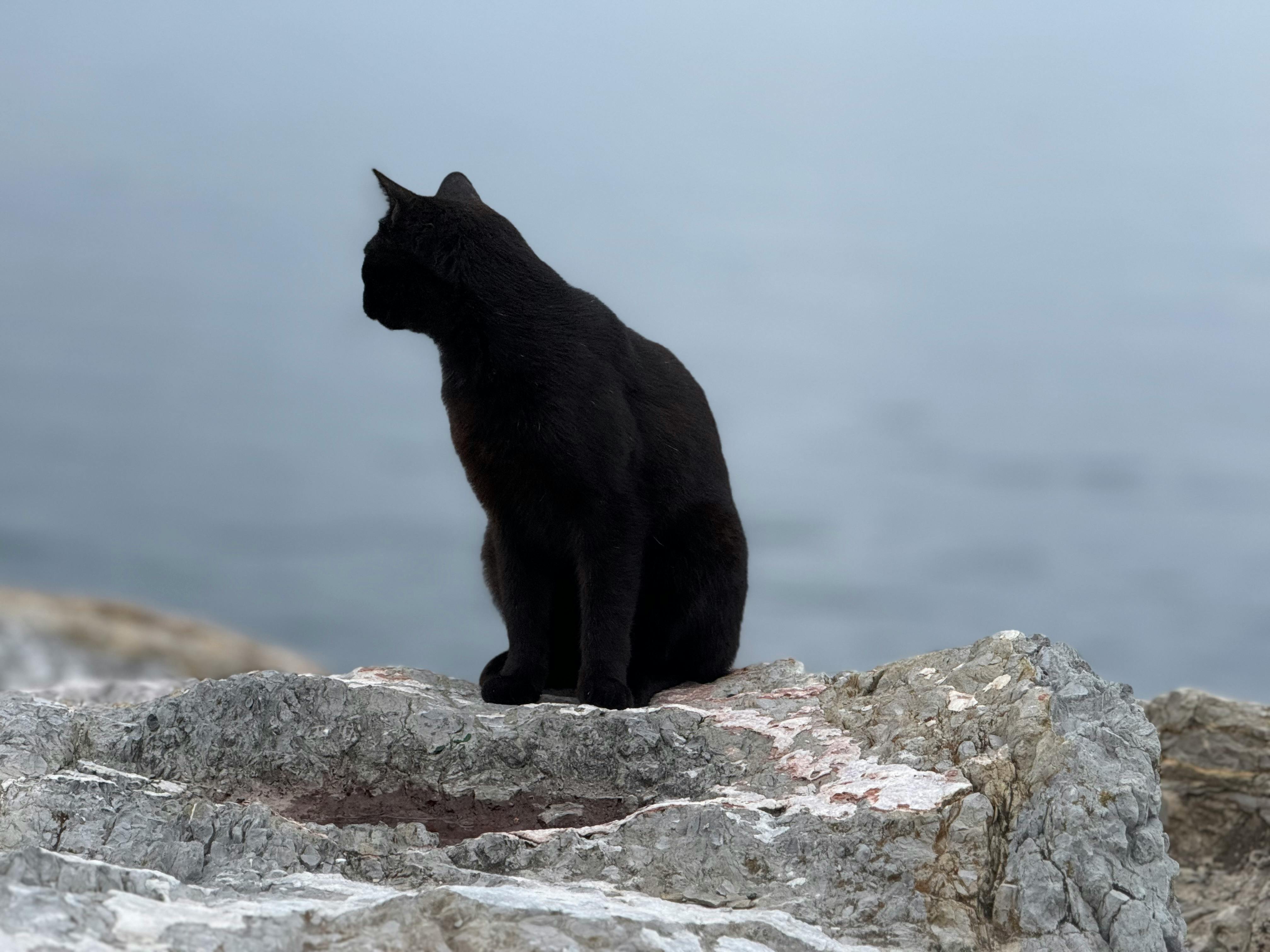 Sam Miri - Fotografía