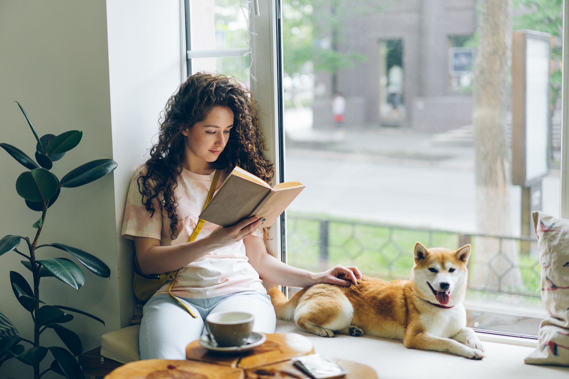 Are Shiba Inus Aggressive? Uncovering Their Behavior Traits