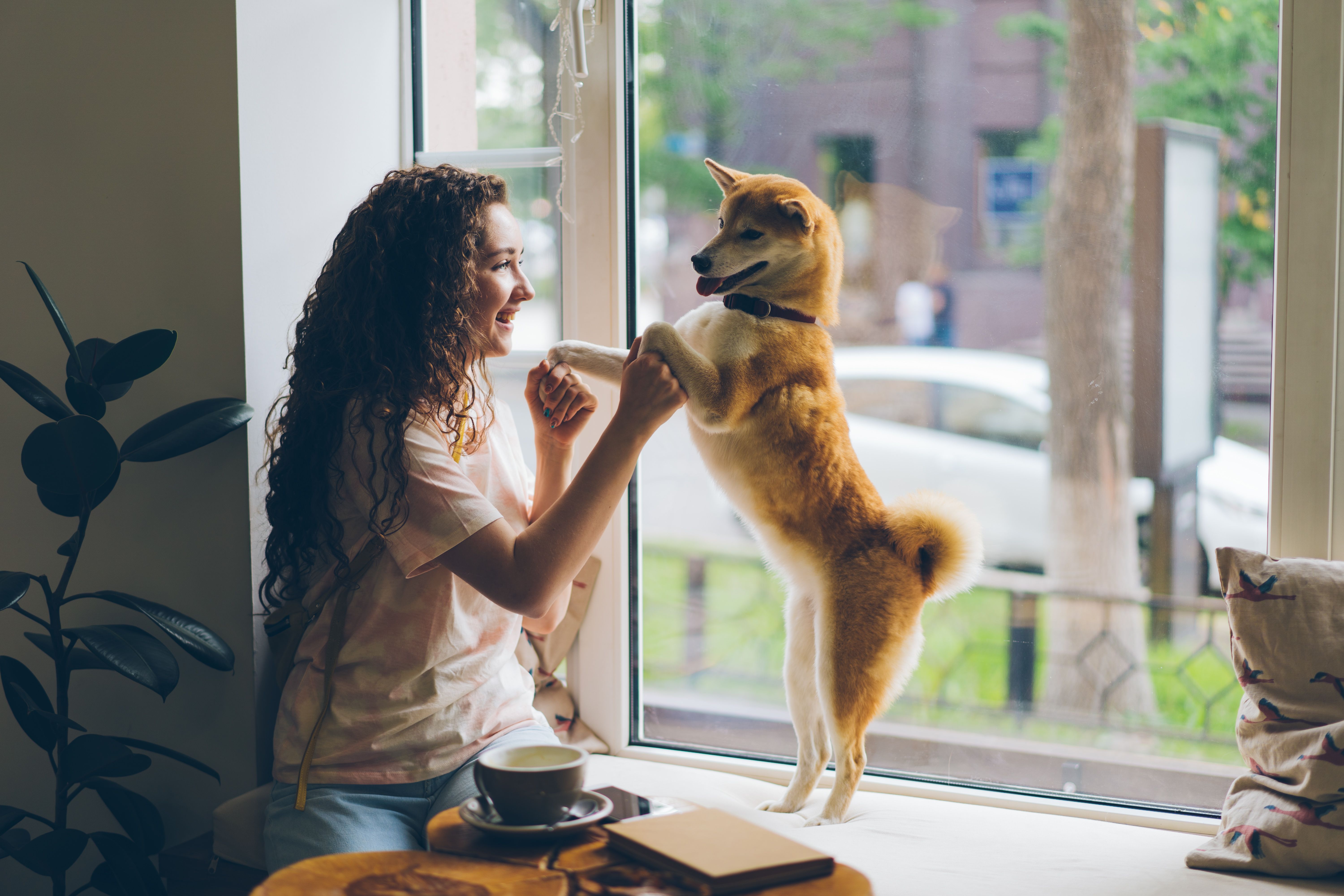 Coming Home Photos, Download The BEST Free Coming Home Stock Photos ...