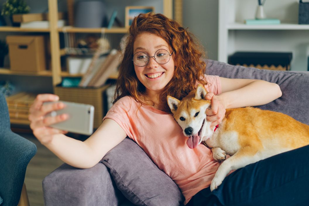 Unveiling Shiba Inu Symbolism in Culture and Spirituality