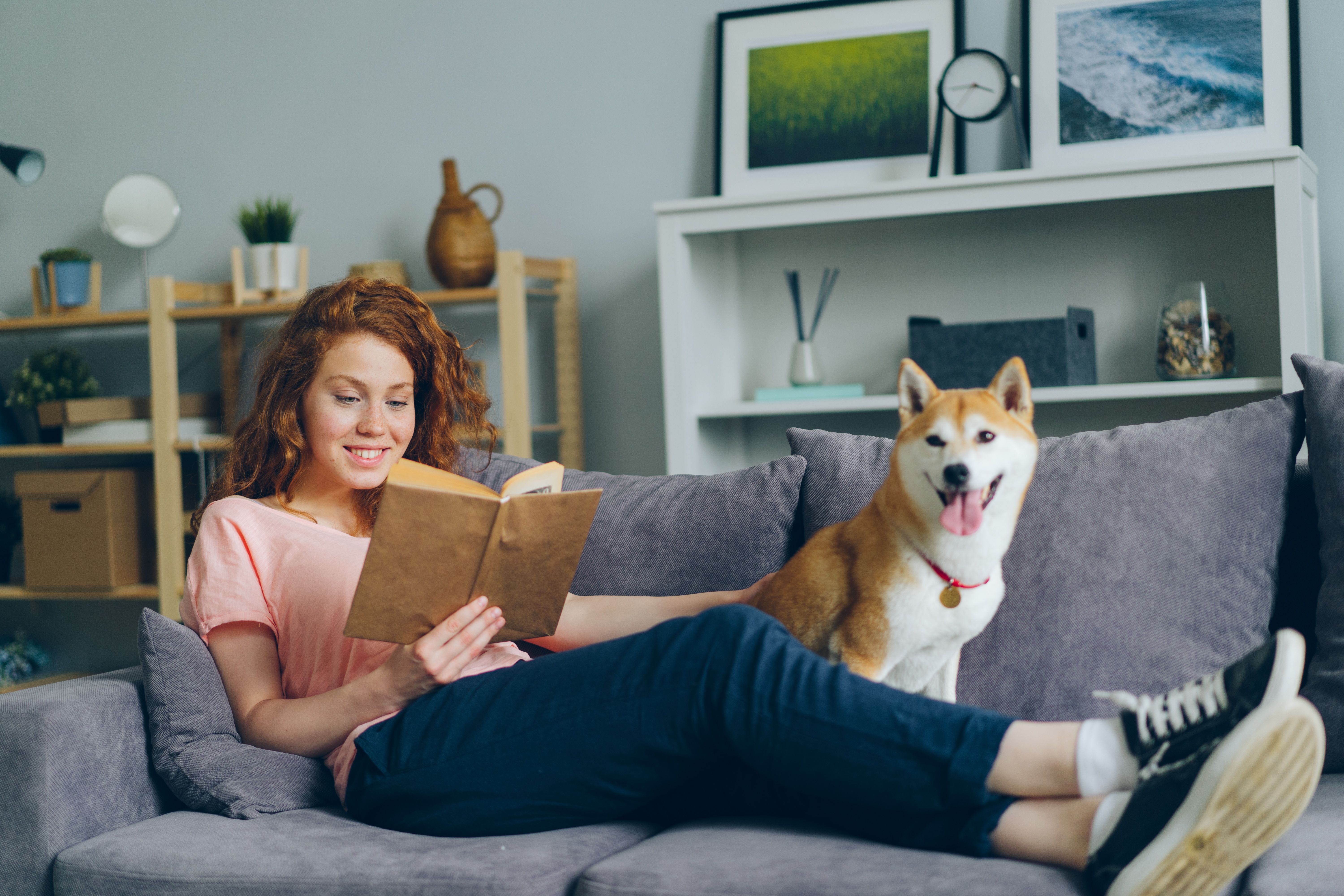Coming Home Photos, Download The BEST Free Coming Home Stock Photos ...