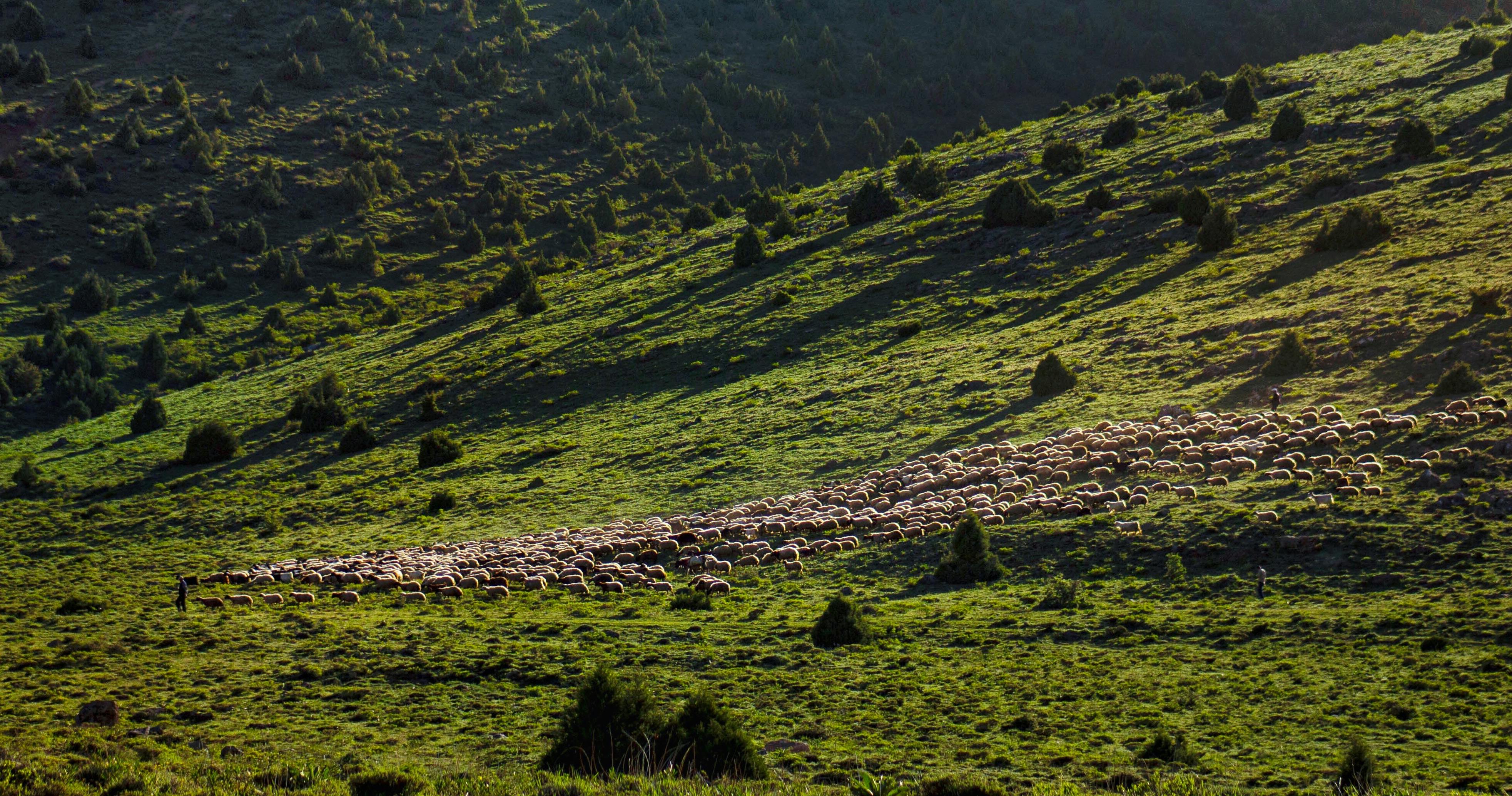 dilan archive - Photography