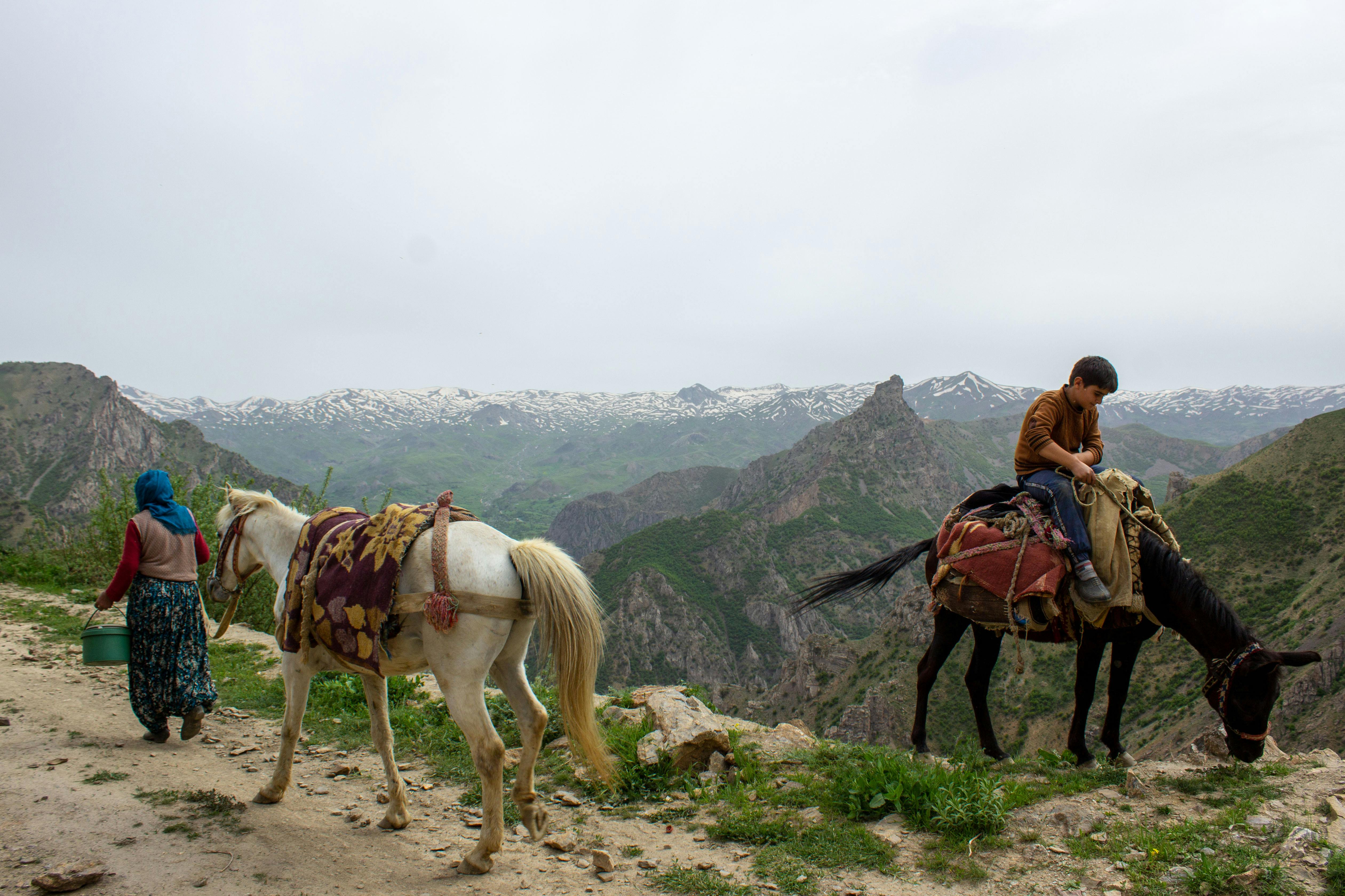 Cavalry Desert Photos, Download The BEST Free Cavalry Desert Stock ...