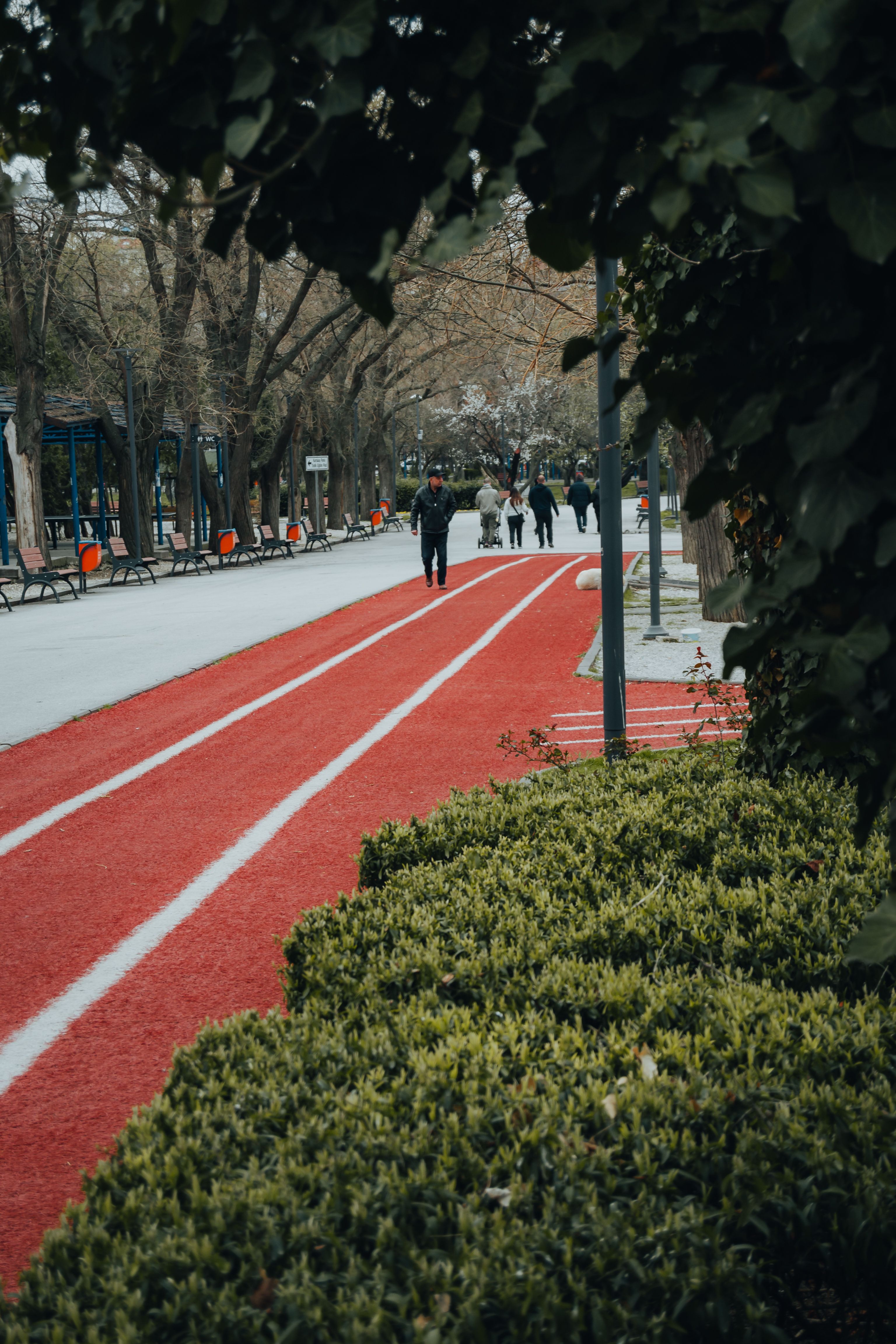 People Walking at Park with Athletics Track · Free Stock Photo