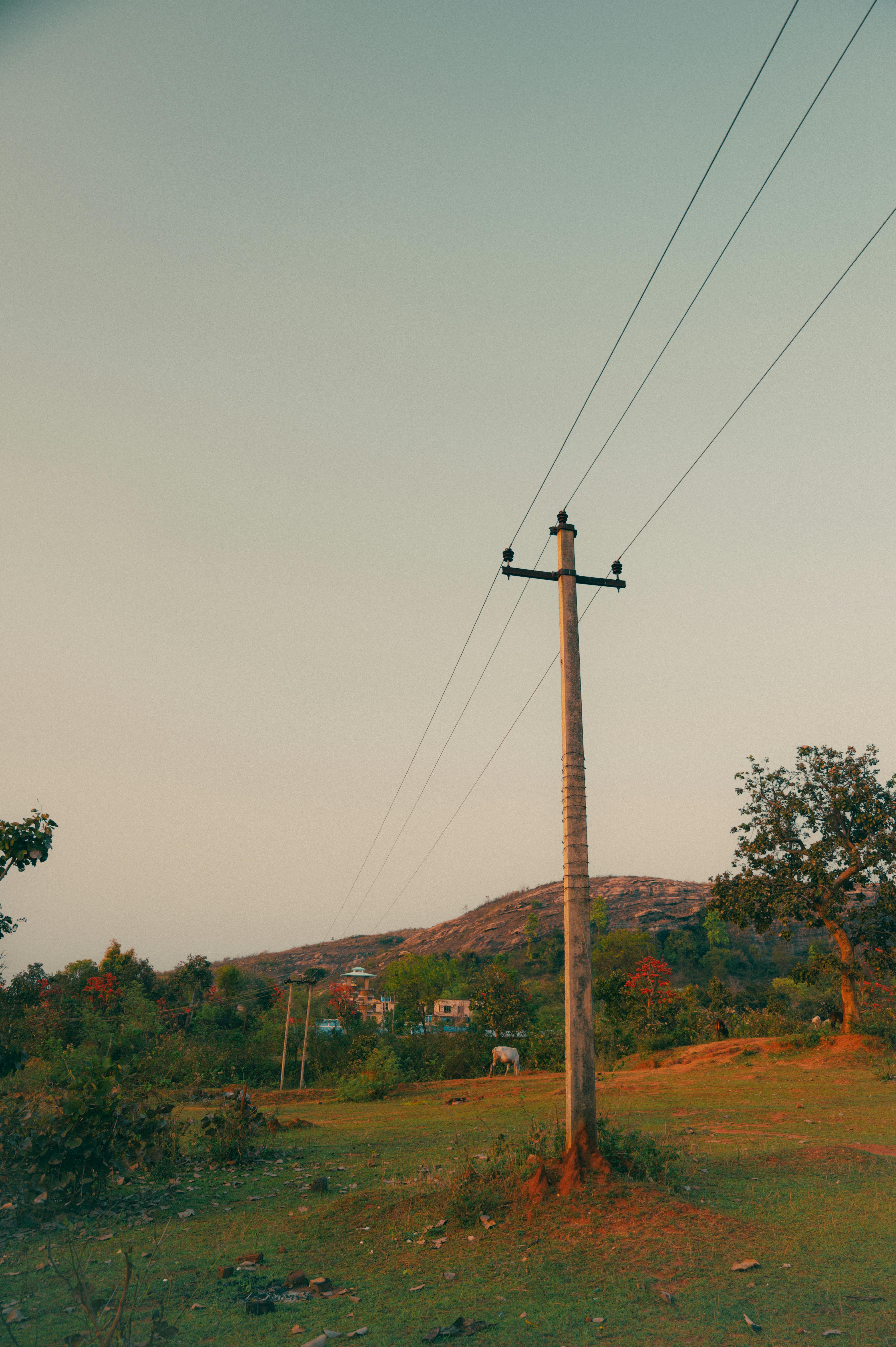 Utility Pole with Power Lines in Countryside · Free Stock Photo