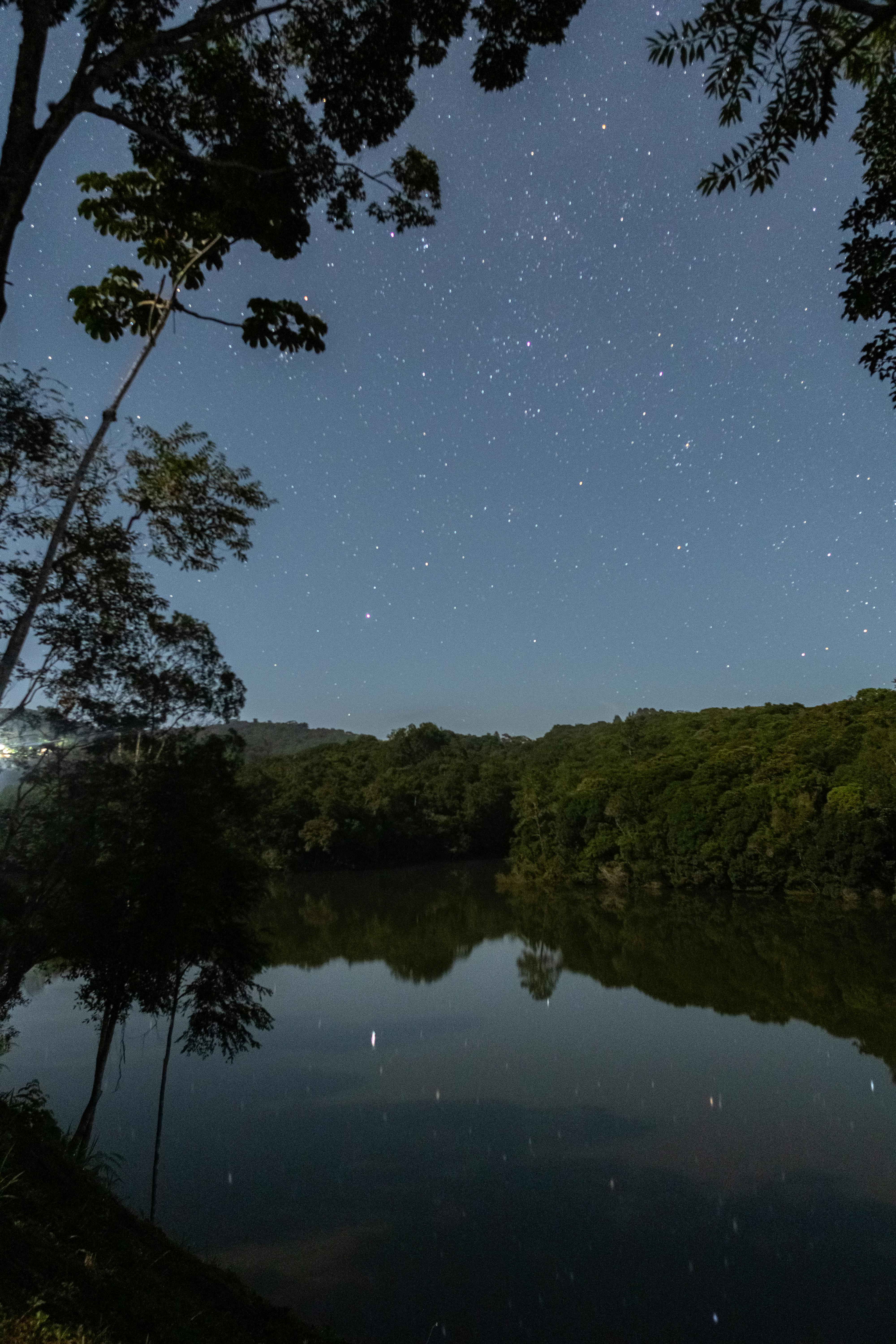 Star Field over Landscape with Forest and Lake · Free Stock Photo
