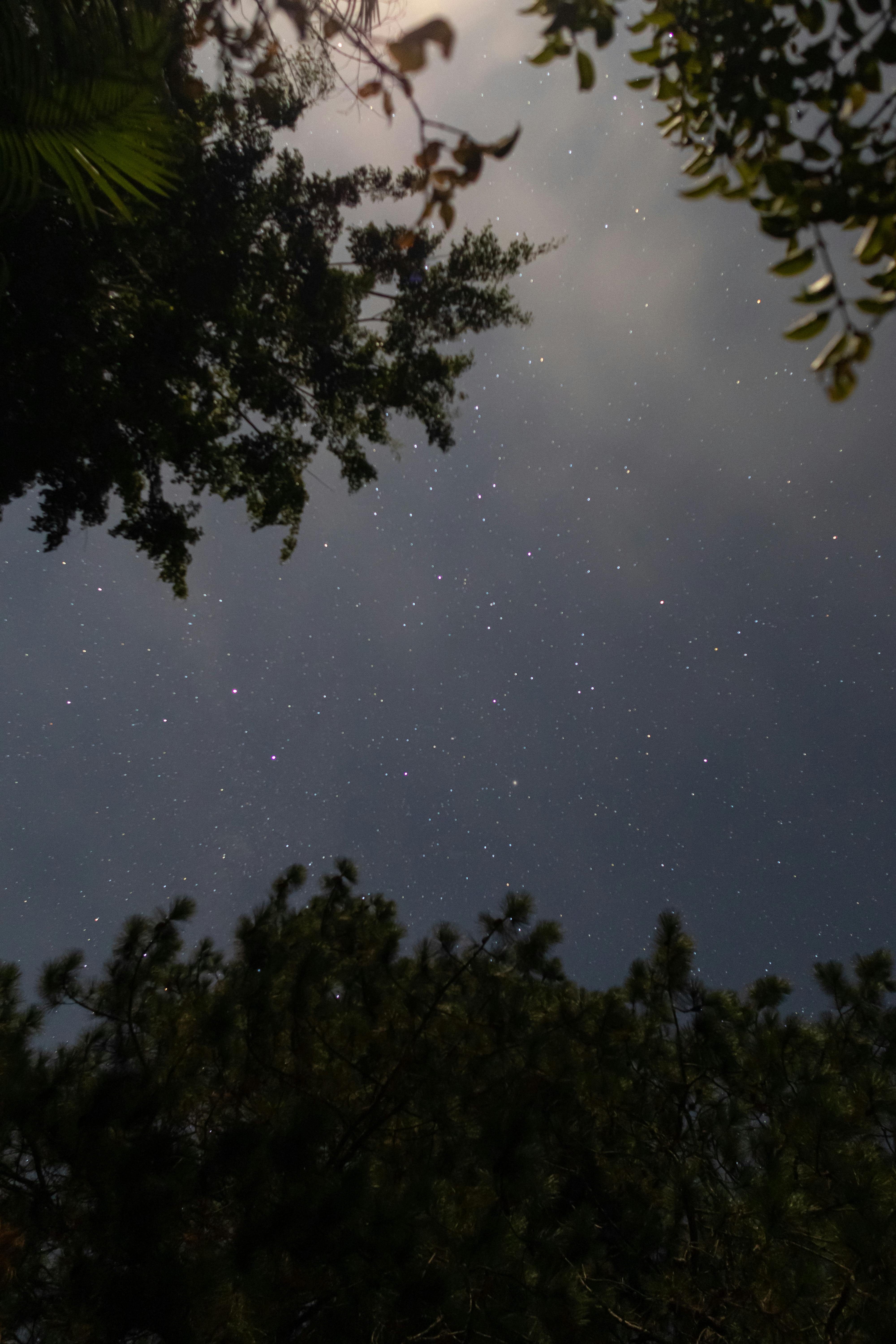 Juquitiba Photos, Download The BEST Free Juquitiba Stock Photos & HD Images