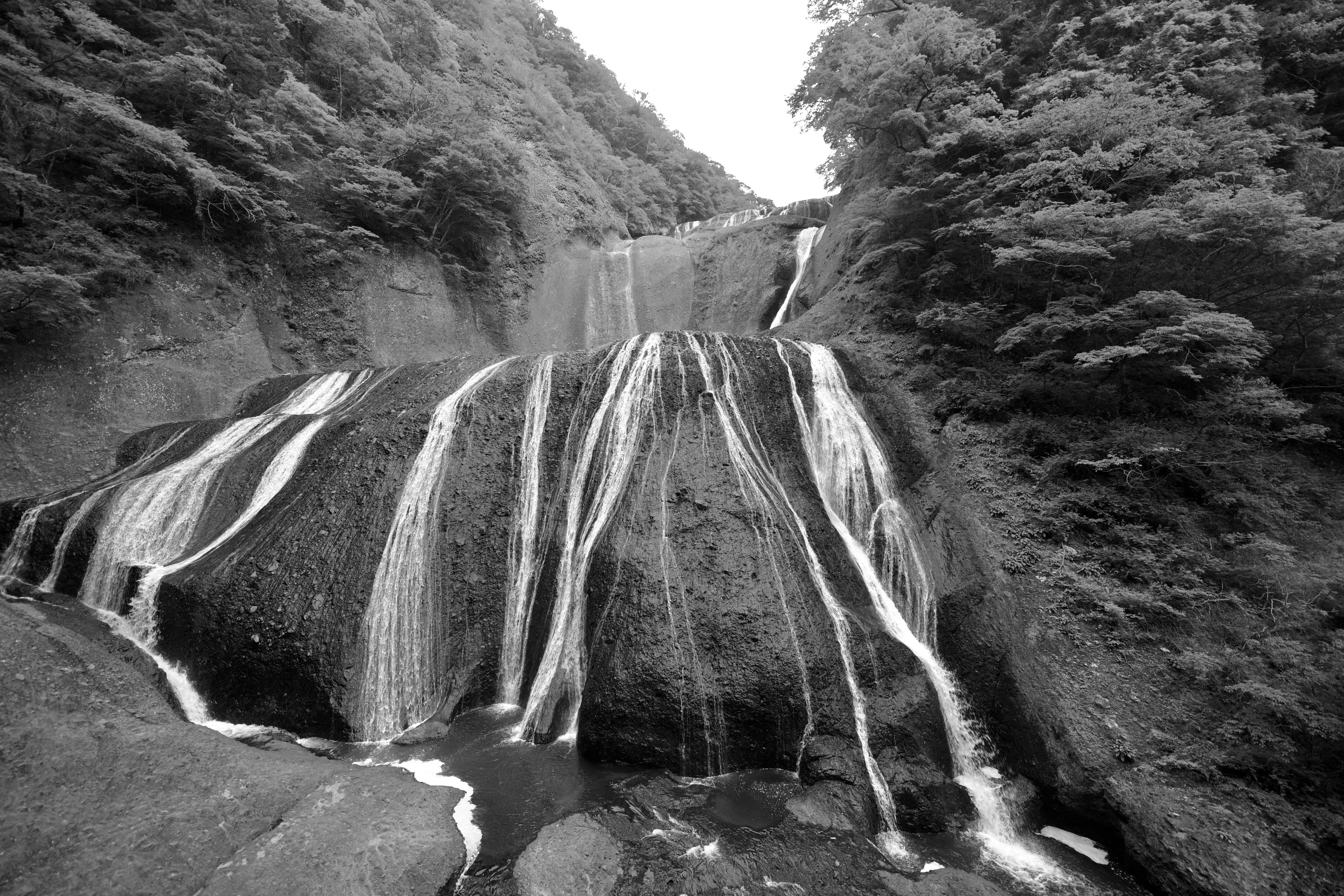 Лучшие фото по запросу «Liteblue.usps.gov Taki» · Скачивайте совершенно ...