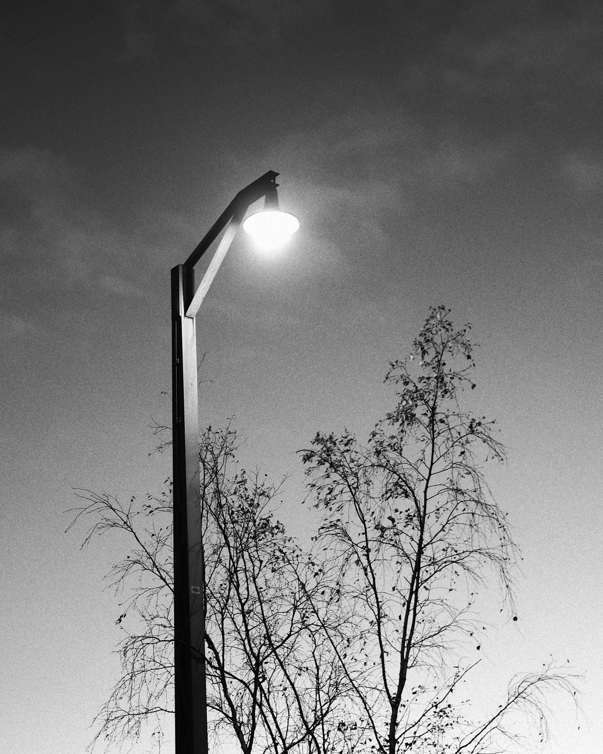 Leonid Danilov - Fotografía