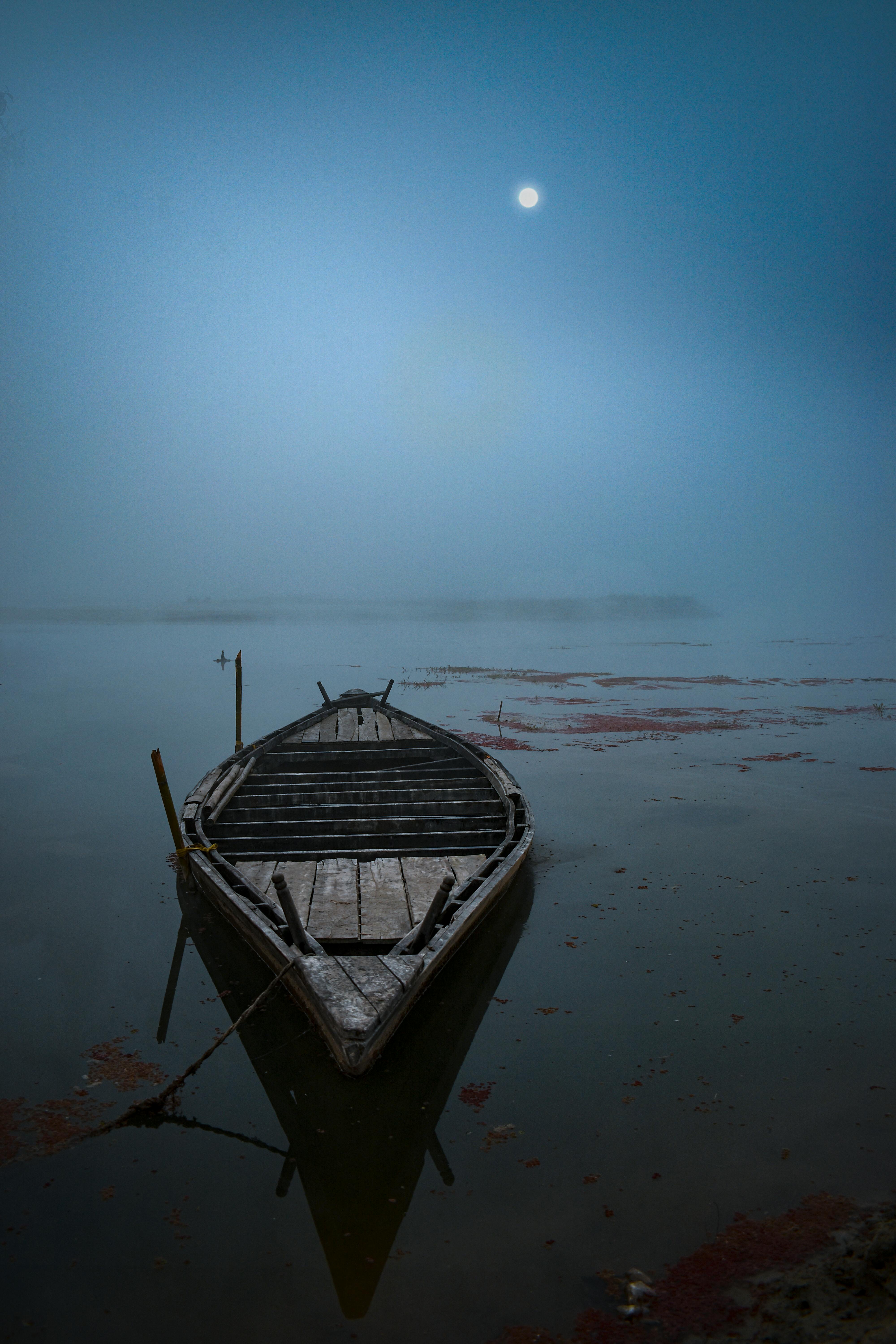 Empty Boat on a Foggy Lakeshore · Free Stock Photo