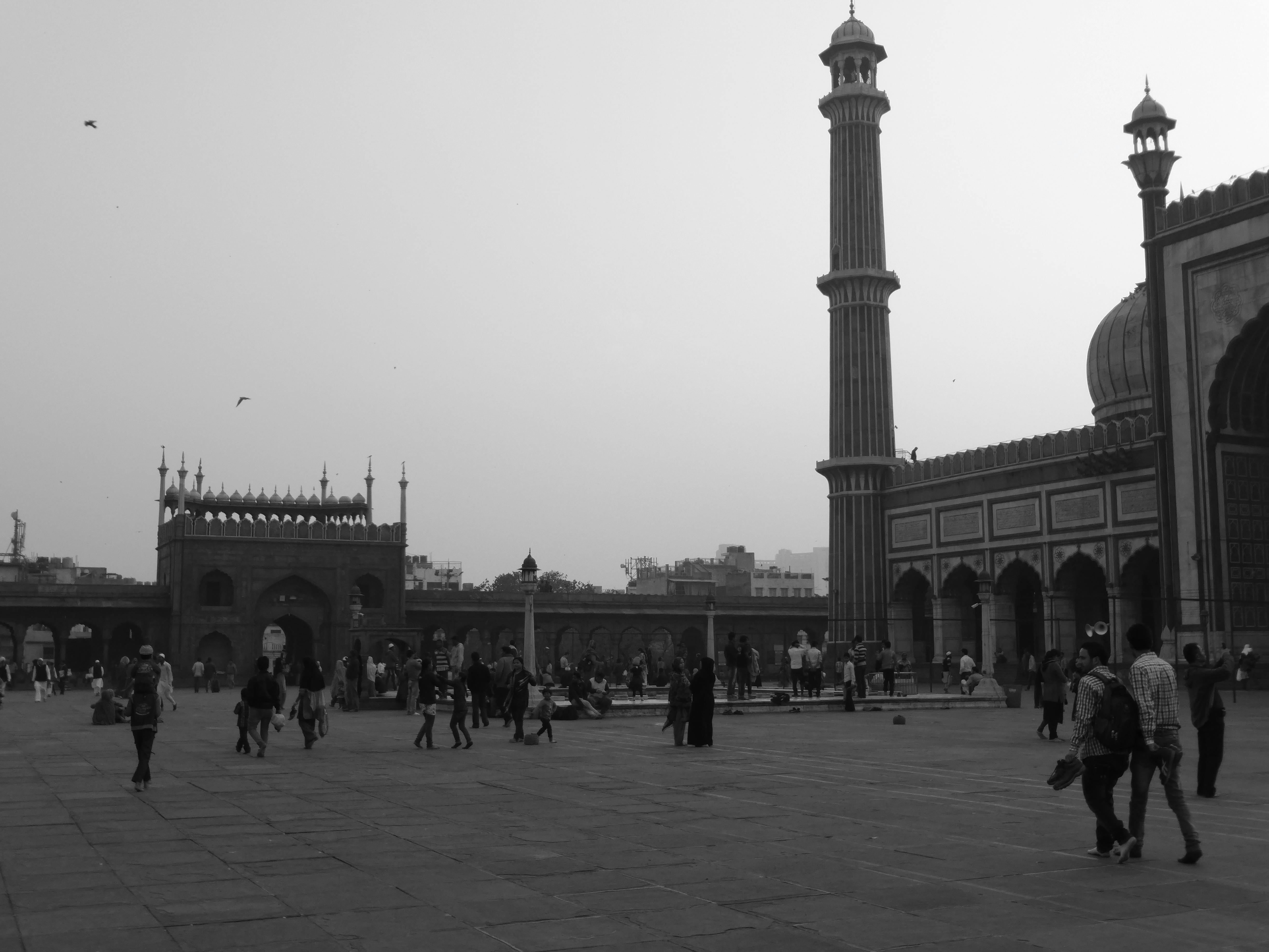 Malcolm Hill - Photography