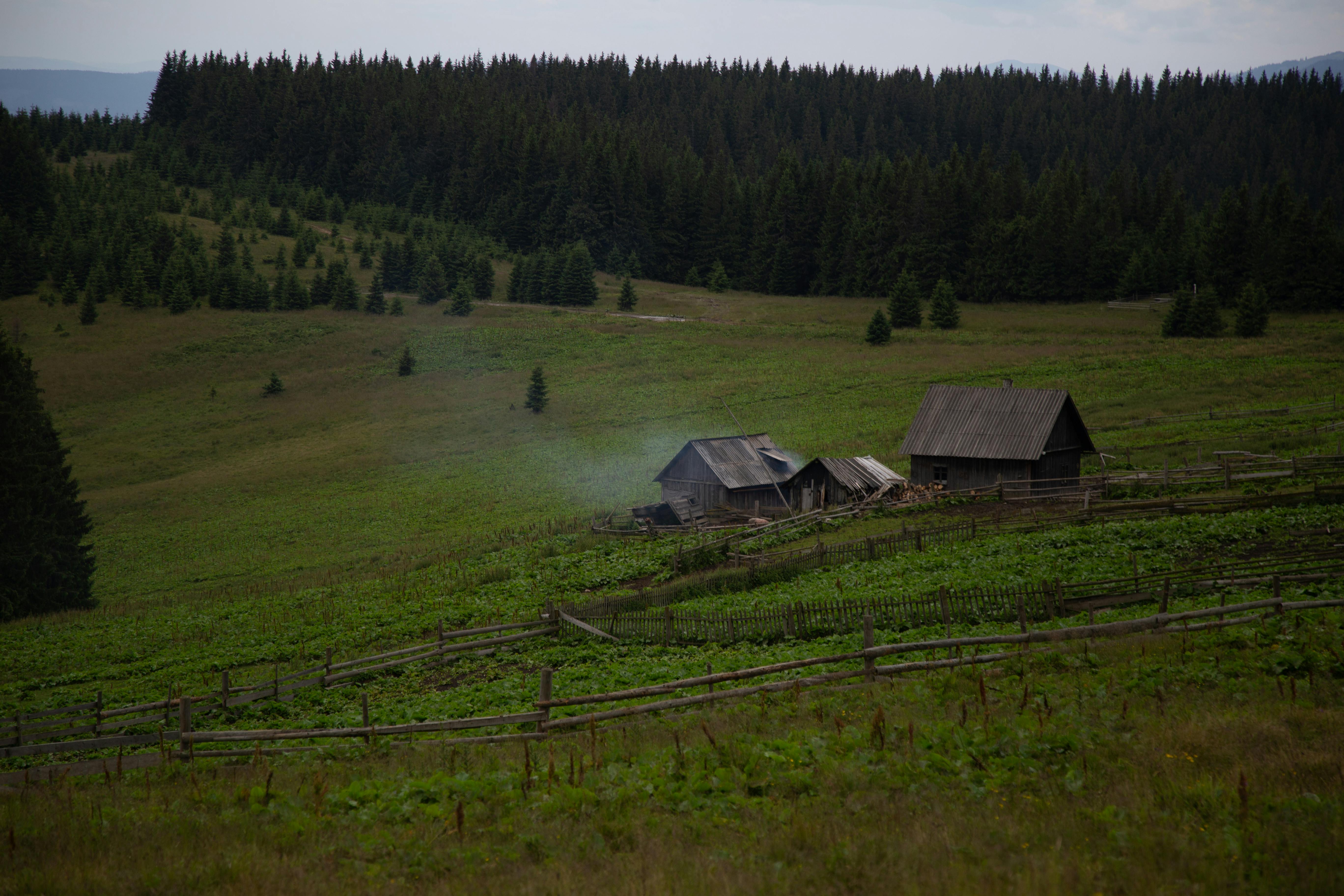 Farm in Mountains · Free Stock Photo