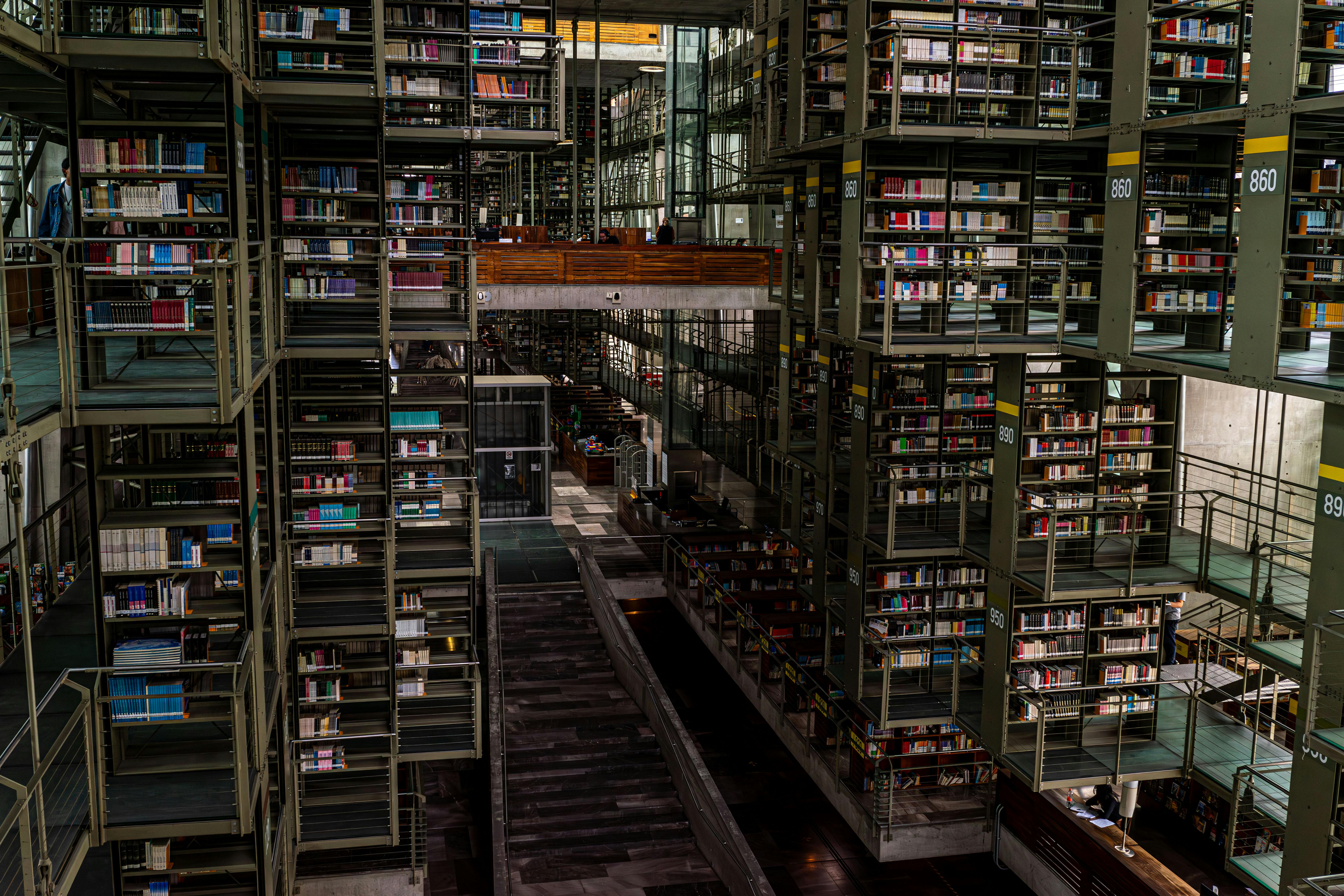 Library Lover Photos, Download The BEST Free Library Lover Stock Photos ...