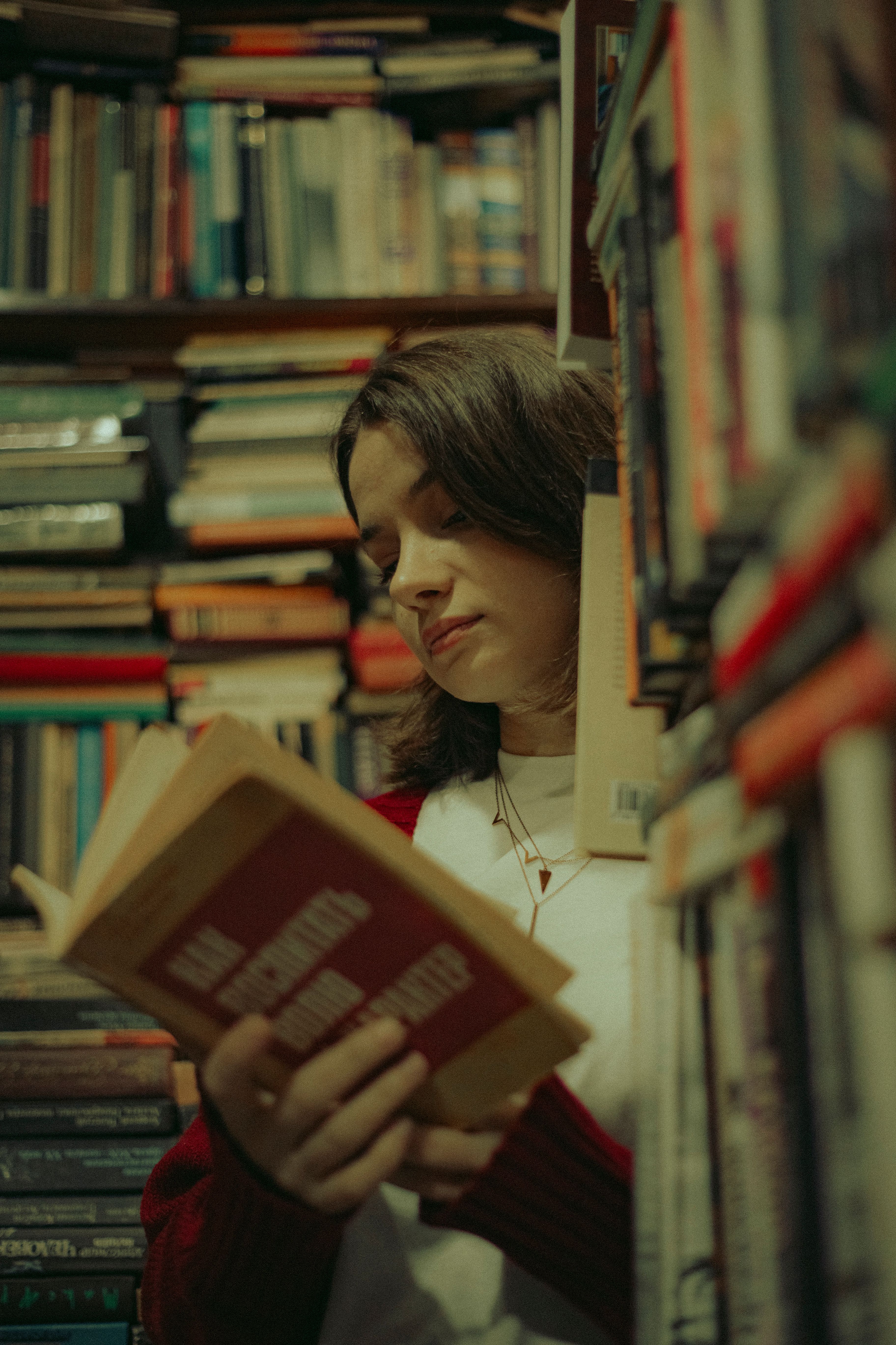 Lady Reading a Book in a Library · Free Stock Photo