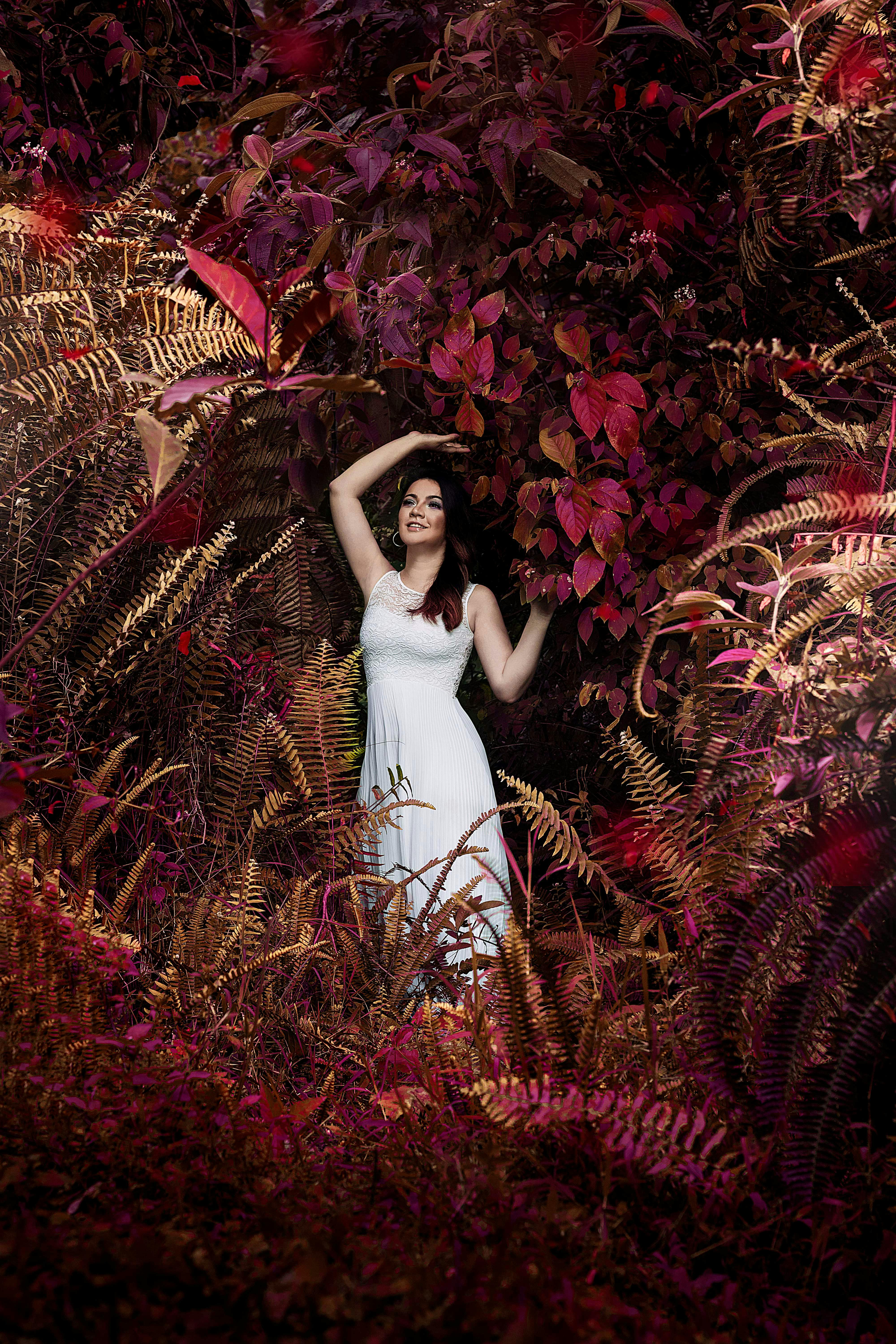 Pic Flower Photos Photos, Download The BEST Free Pic Flower Photos ...