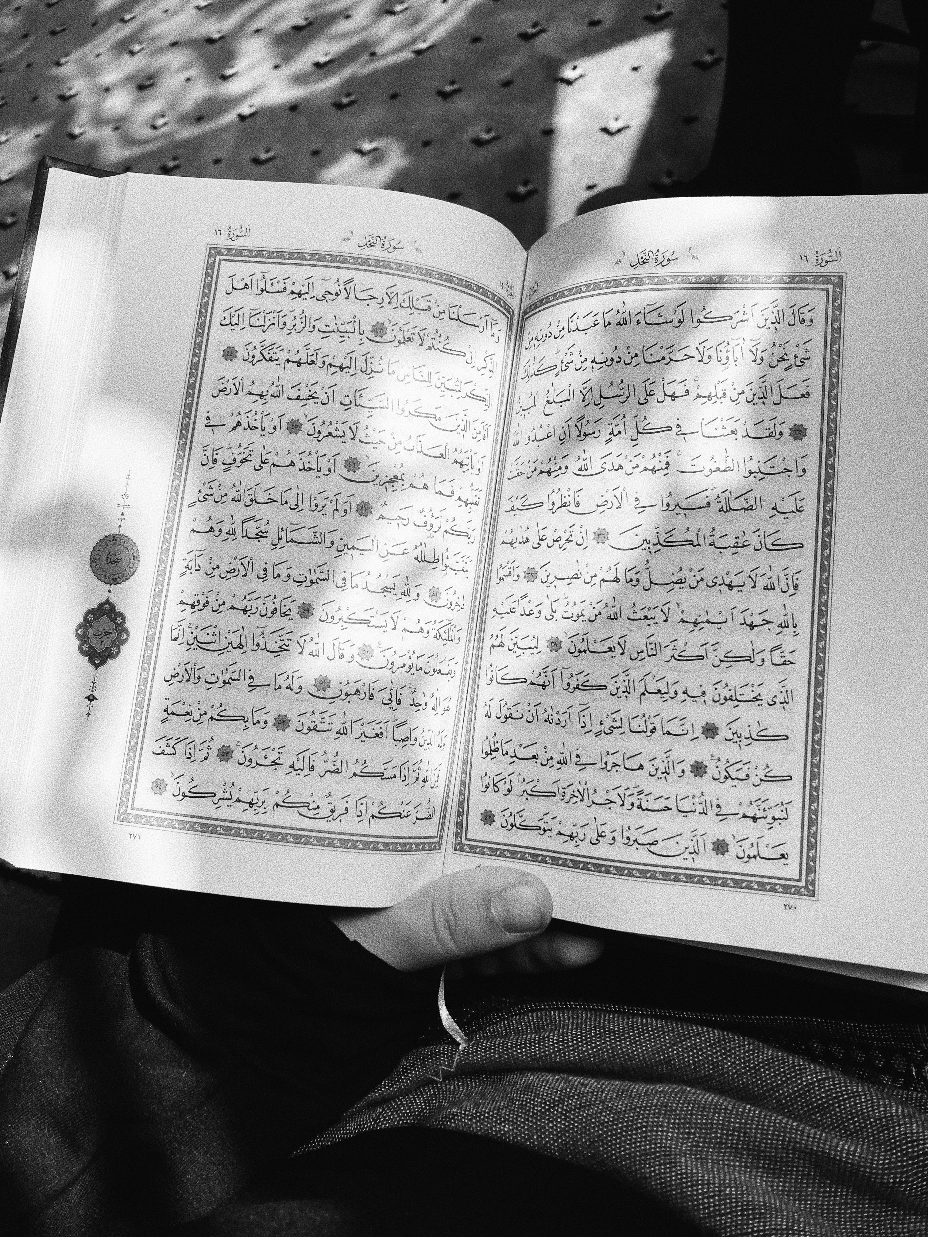 Shiiq Quraan Photos, Download The BEST Free Shiiq Quraan Stock Photos ...