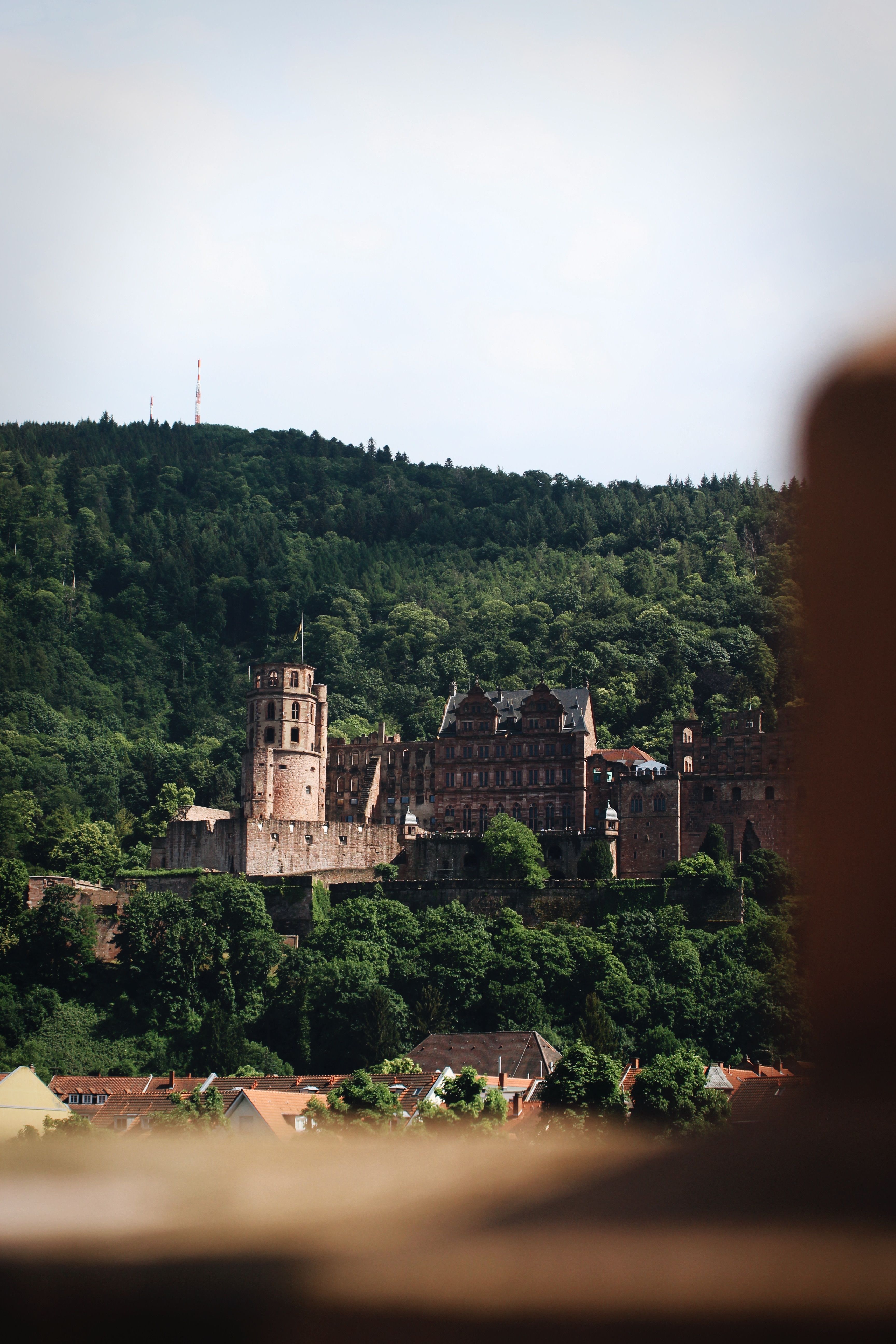 Heilderberg Castle Surrounded by Woods · Free Stock Photo