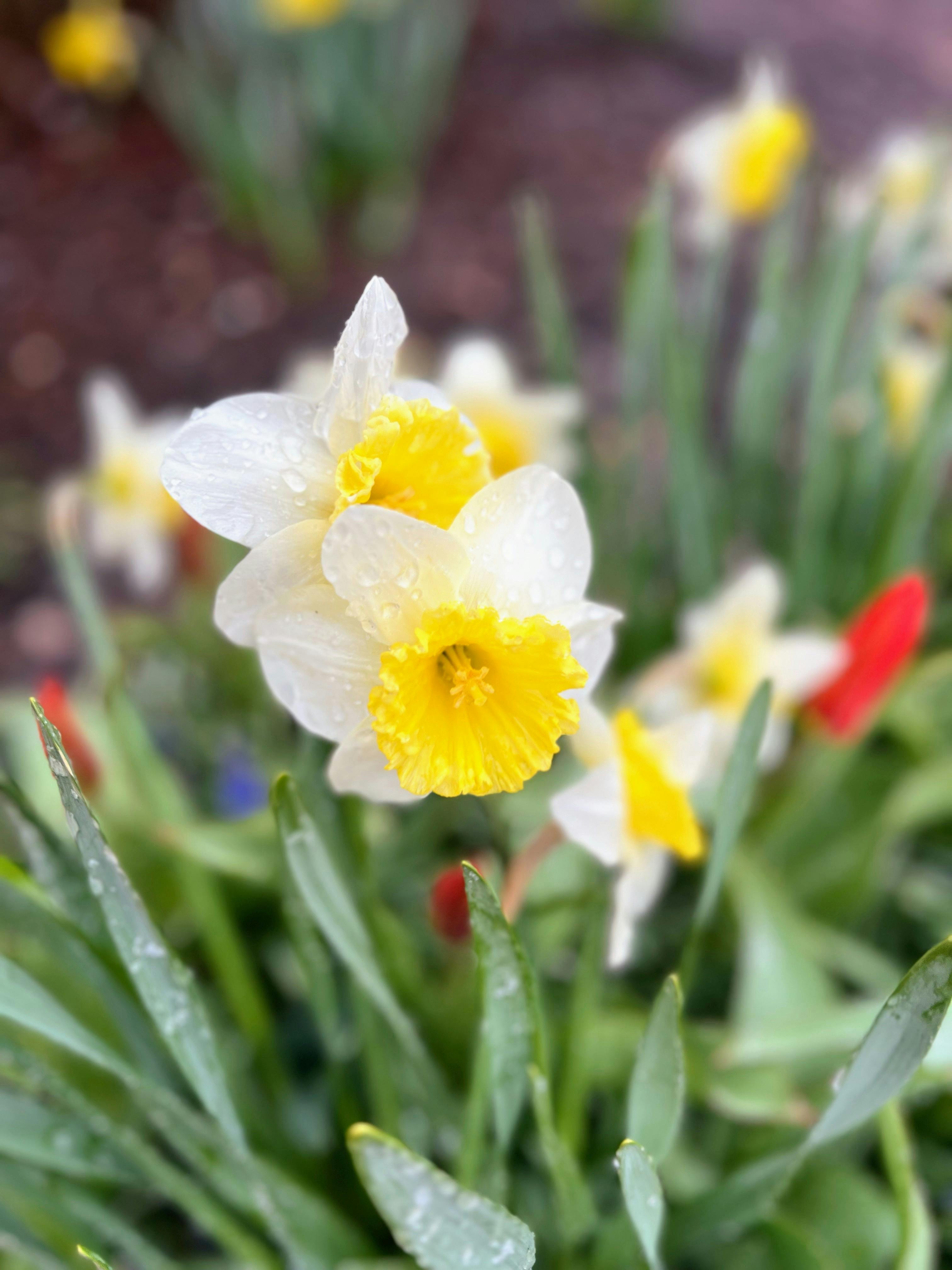 Nad Batayeh - Photography