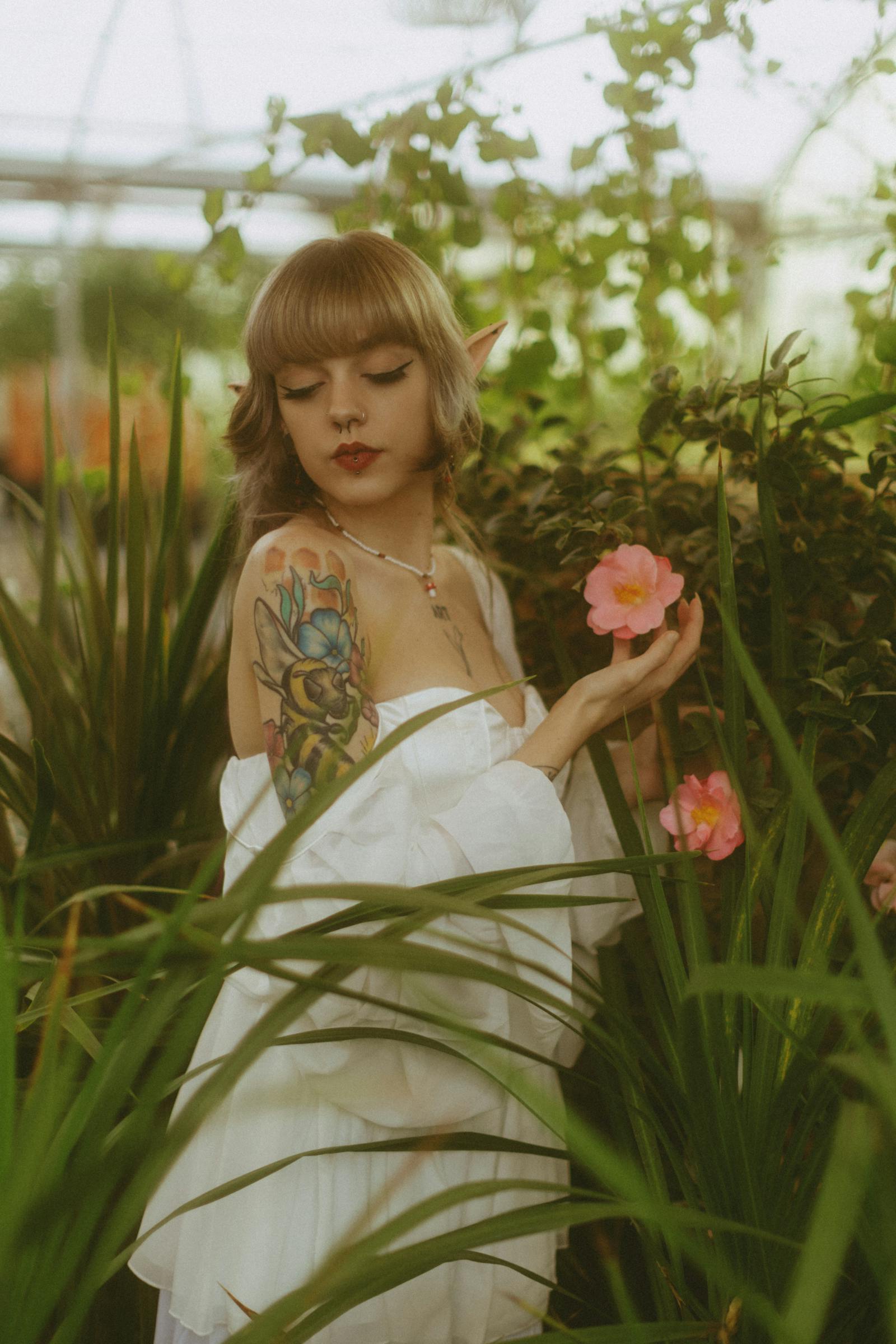 Elf Photos, Download The BEST Free Elf Stock Photos & HD Images