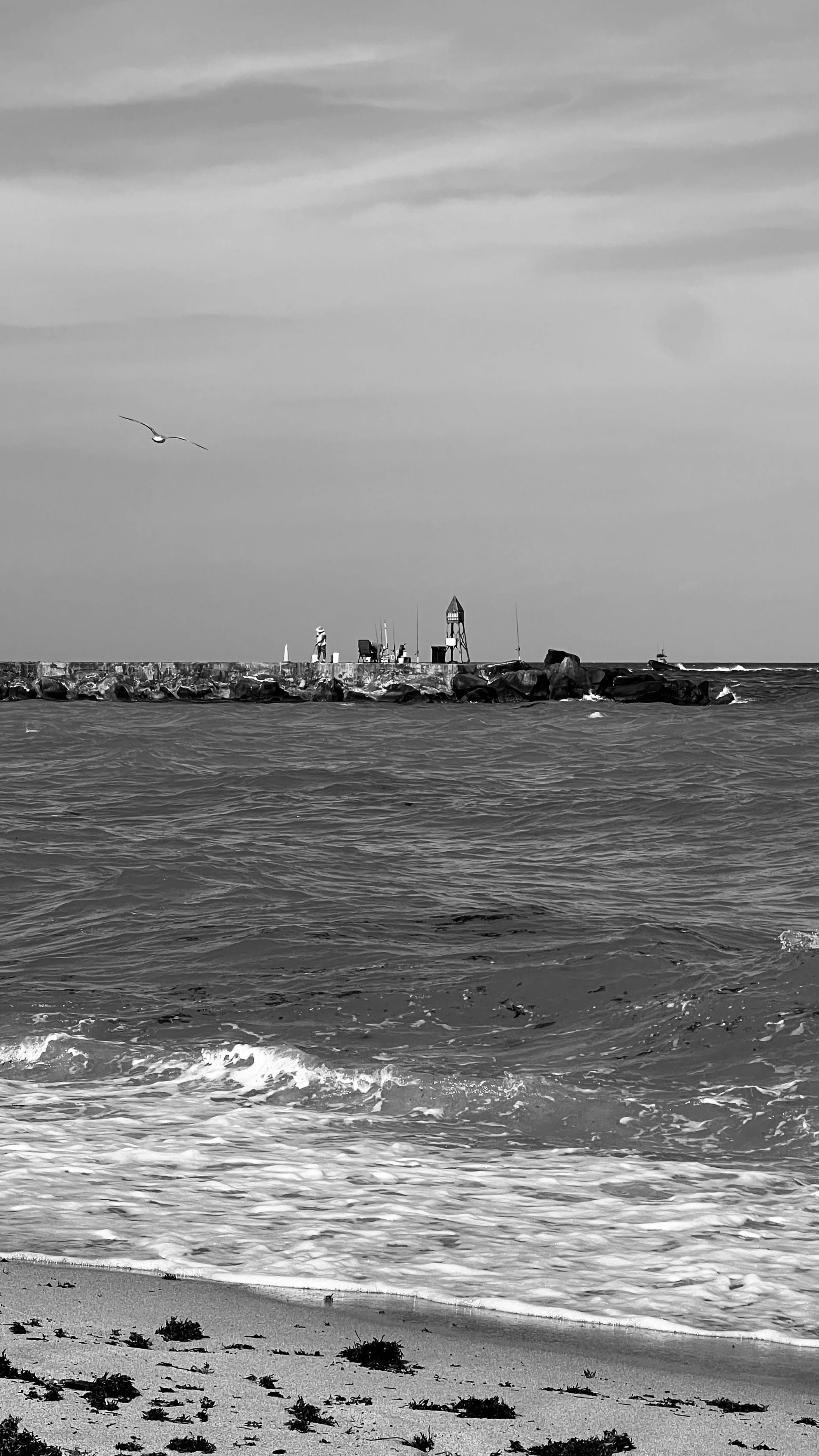 Vocation Photos, Download The BEST Free Vocation Stock Photos & HD Images