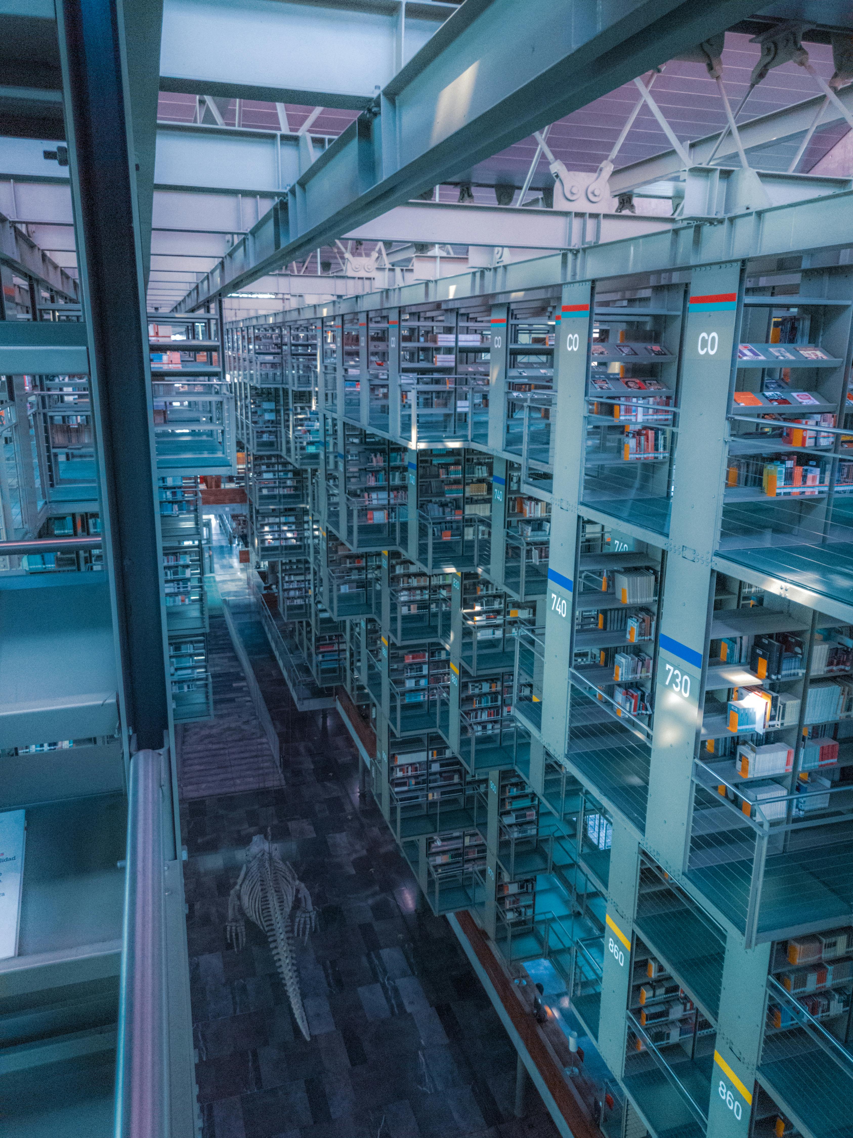 Vast Library Photos, Download The BEST Free Vast Library Stock Photos ...