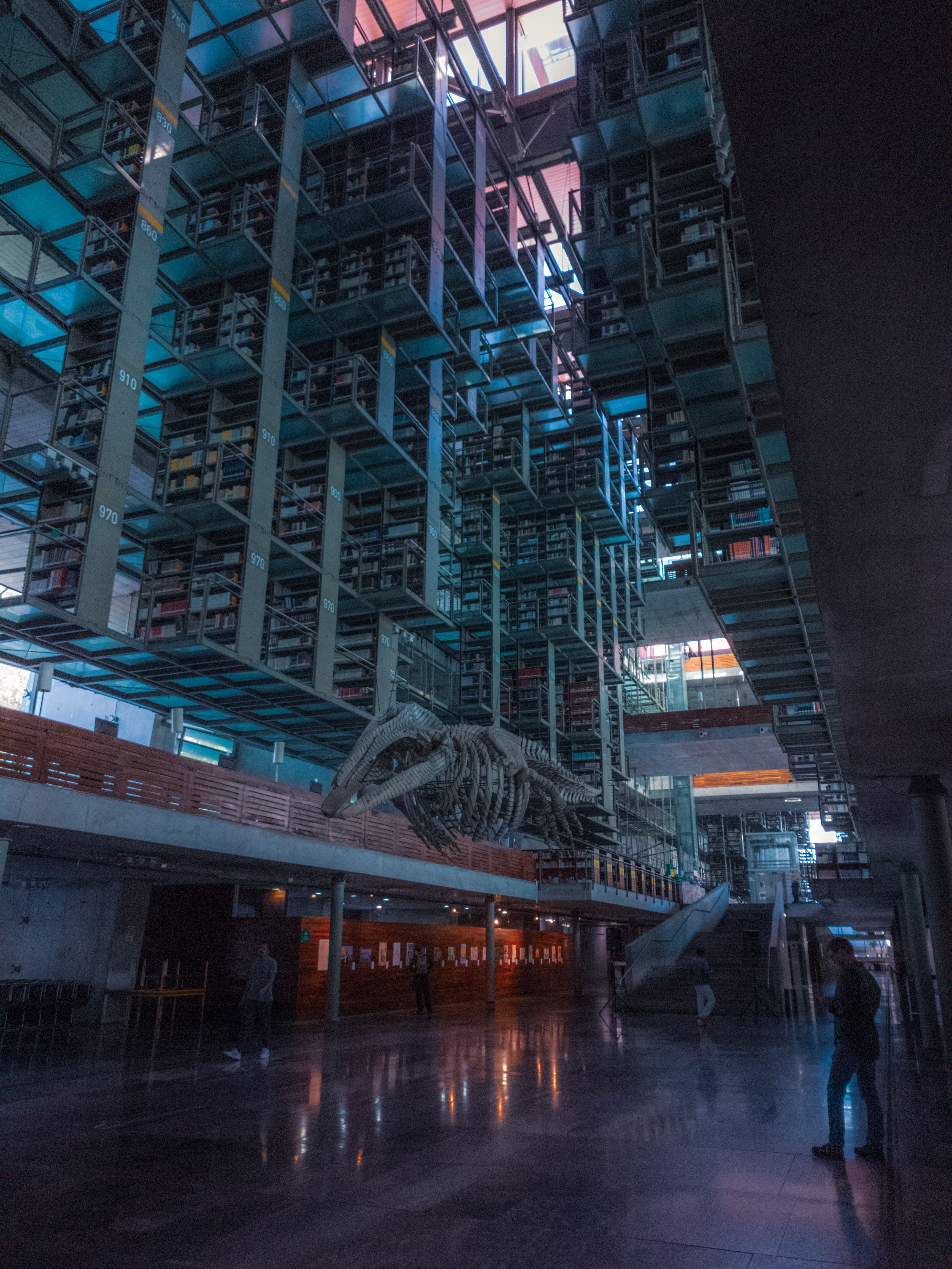 Vasconcelos Library in Mexico City · Free Stock Photo
