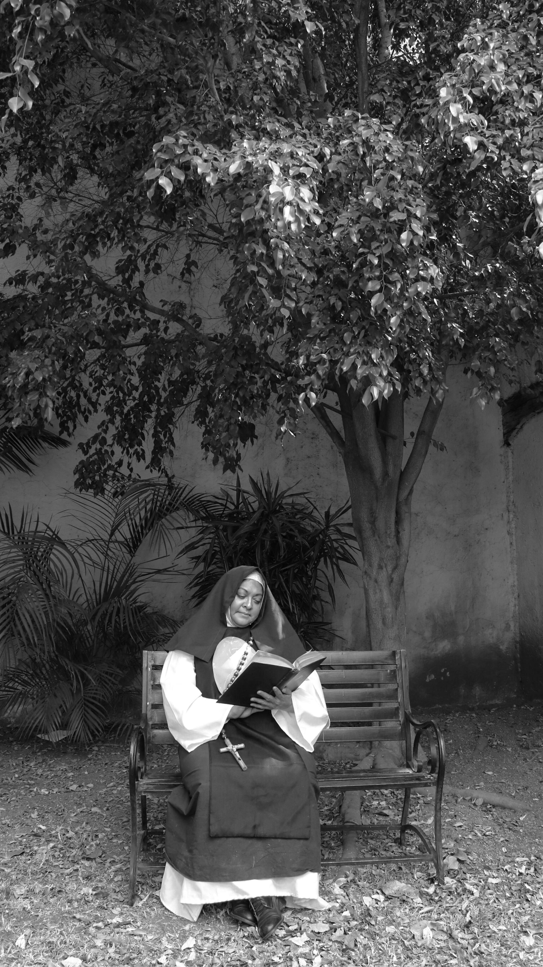 Nun Reading a Book on a Bench under the Tree · Free Stock Photo