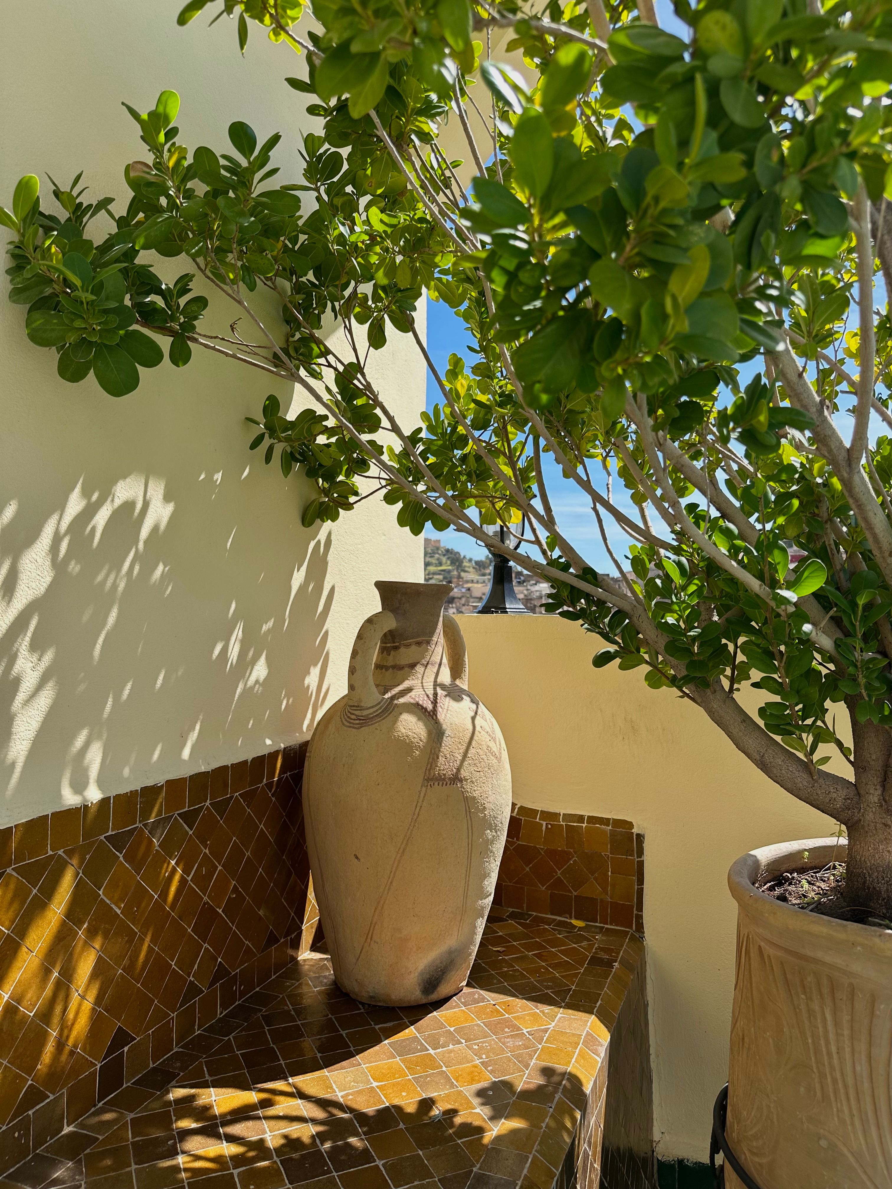 Clay Vase Under a Tree in a Pot on the Balcony · Free Stock Photo
