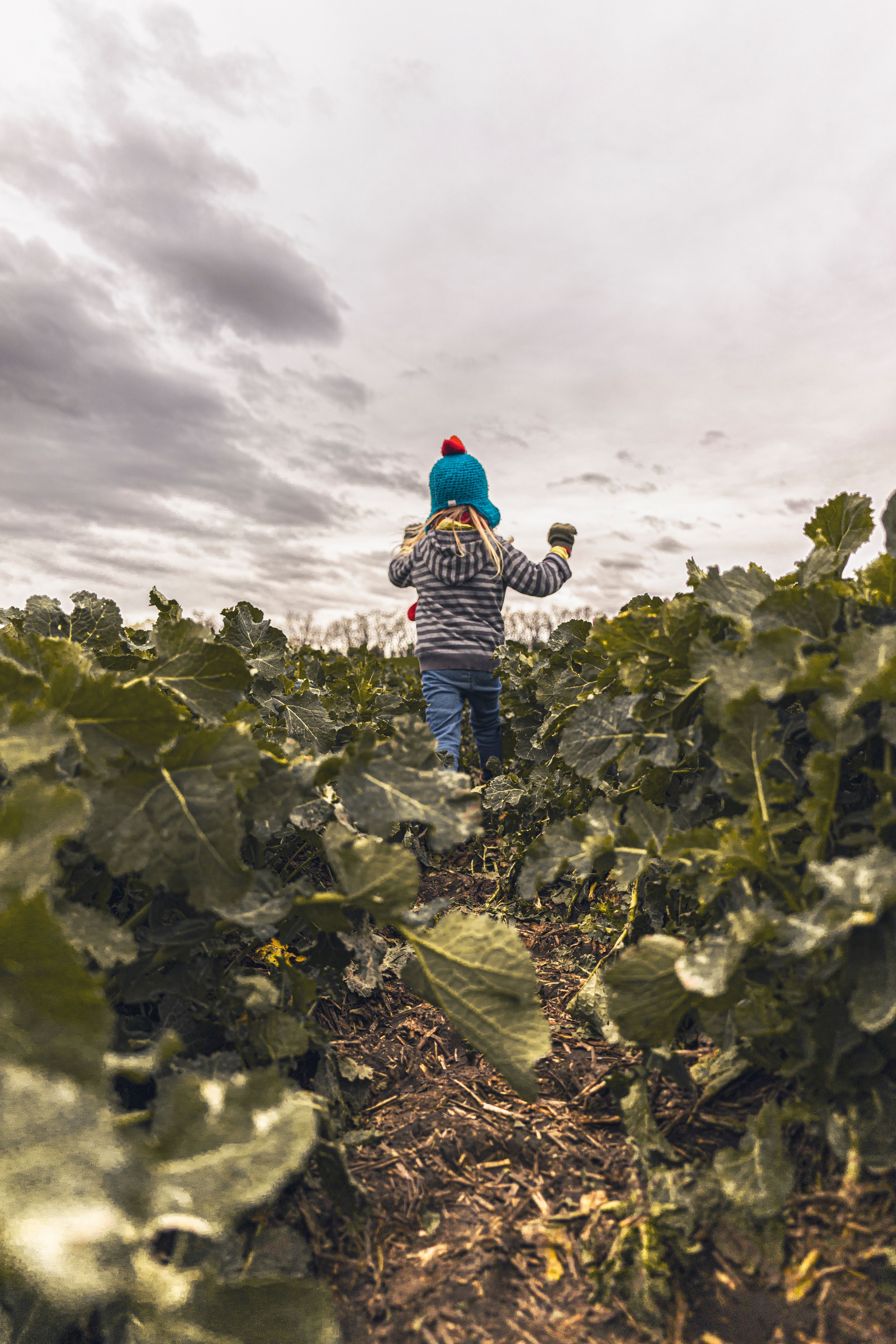 Little Kid Running Away from camera in a field dramatic and cute · Free ...