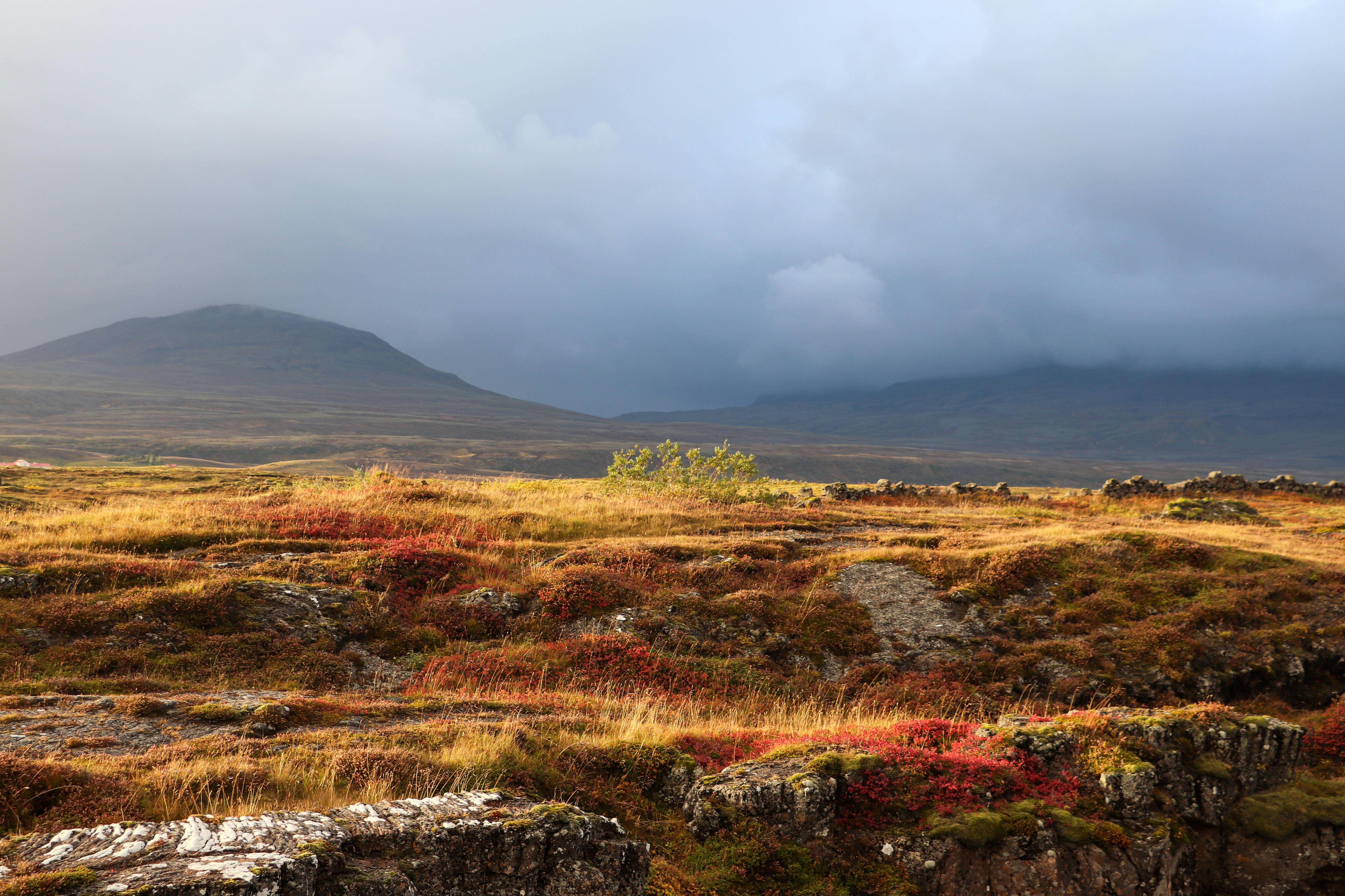 Scenic Tundra Landscape · Free Stock Photo