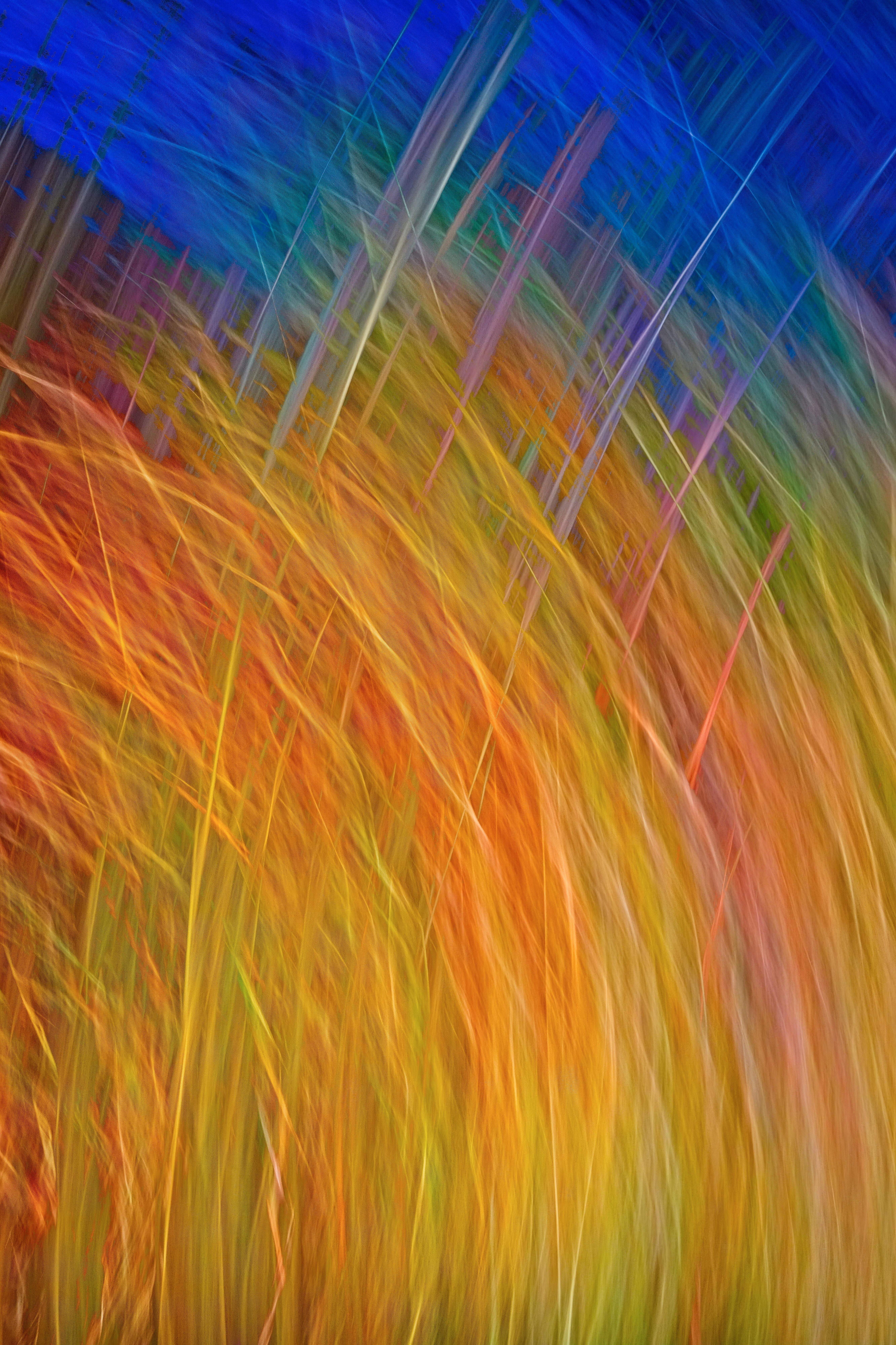 Abstract painting of colorful grasses · Free Stock Photo