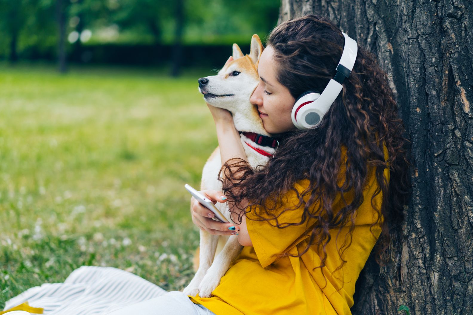 Unveiling Shiba Inu Origin: Japan's Ancient Canine Heritage