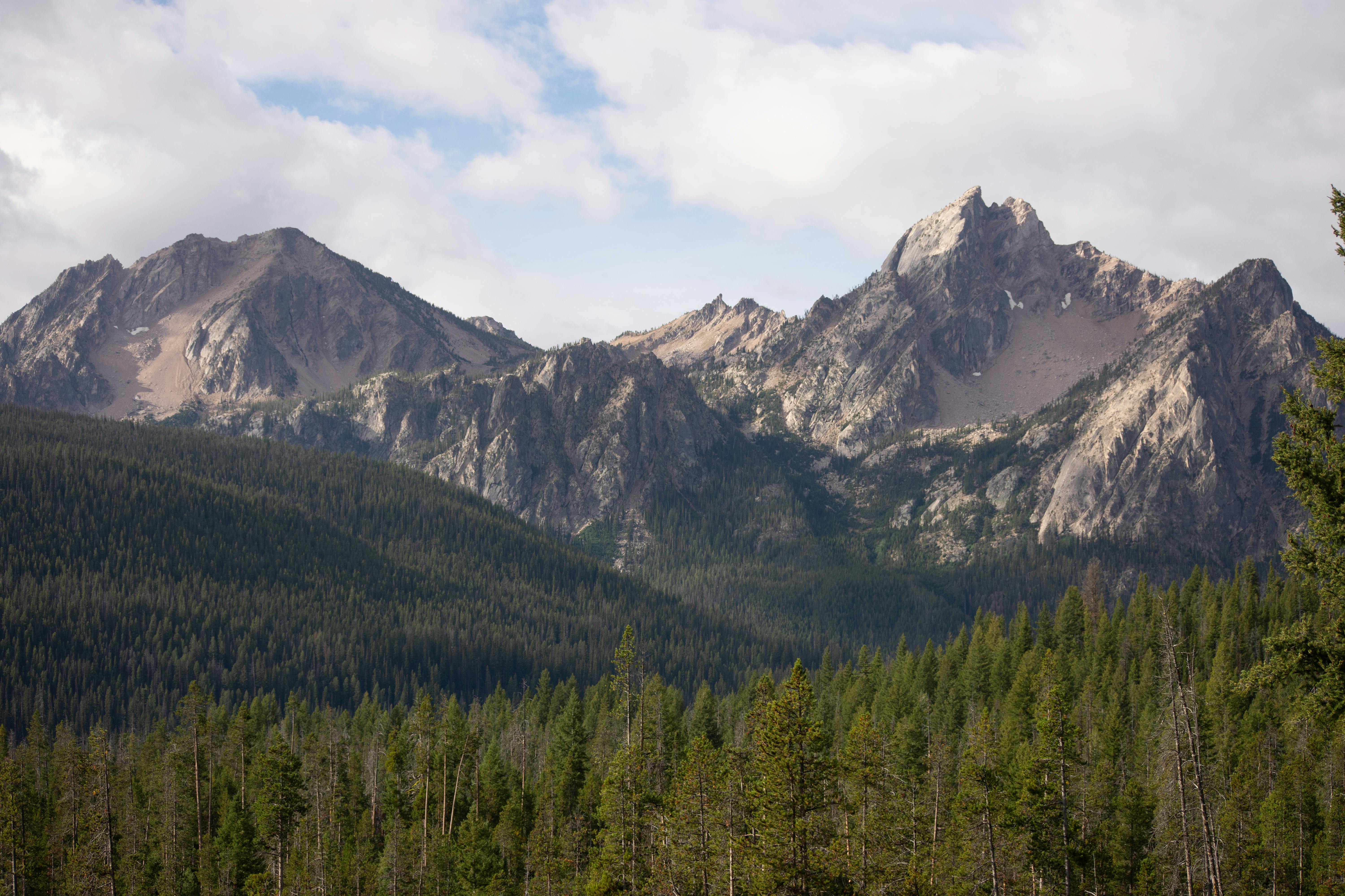 A view of the mountains from a forested area · Free Stock Photo