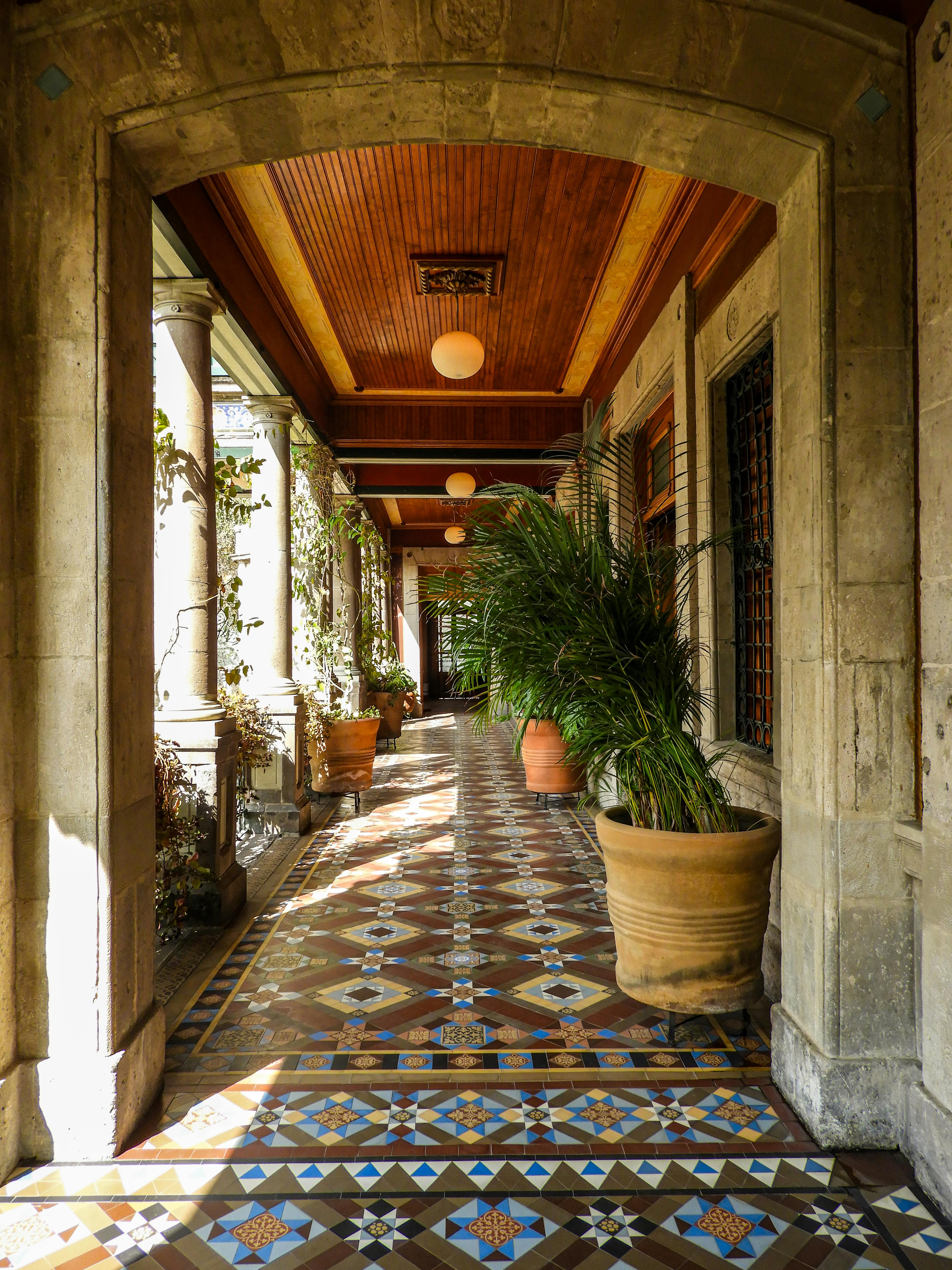 Potted Plants in Hallway in Palace · Free Stock Photo