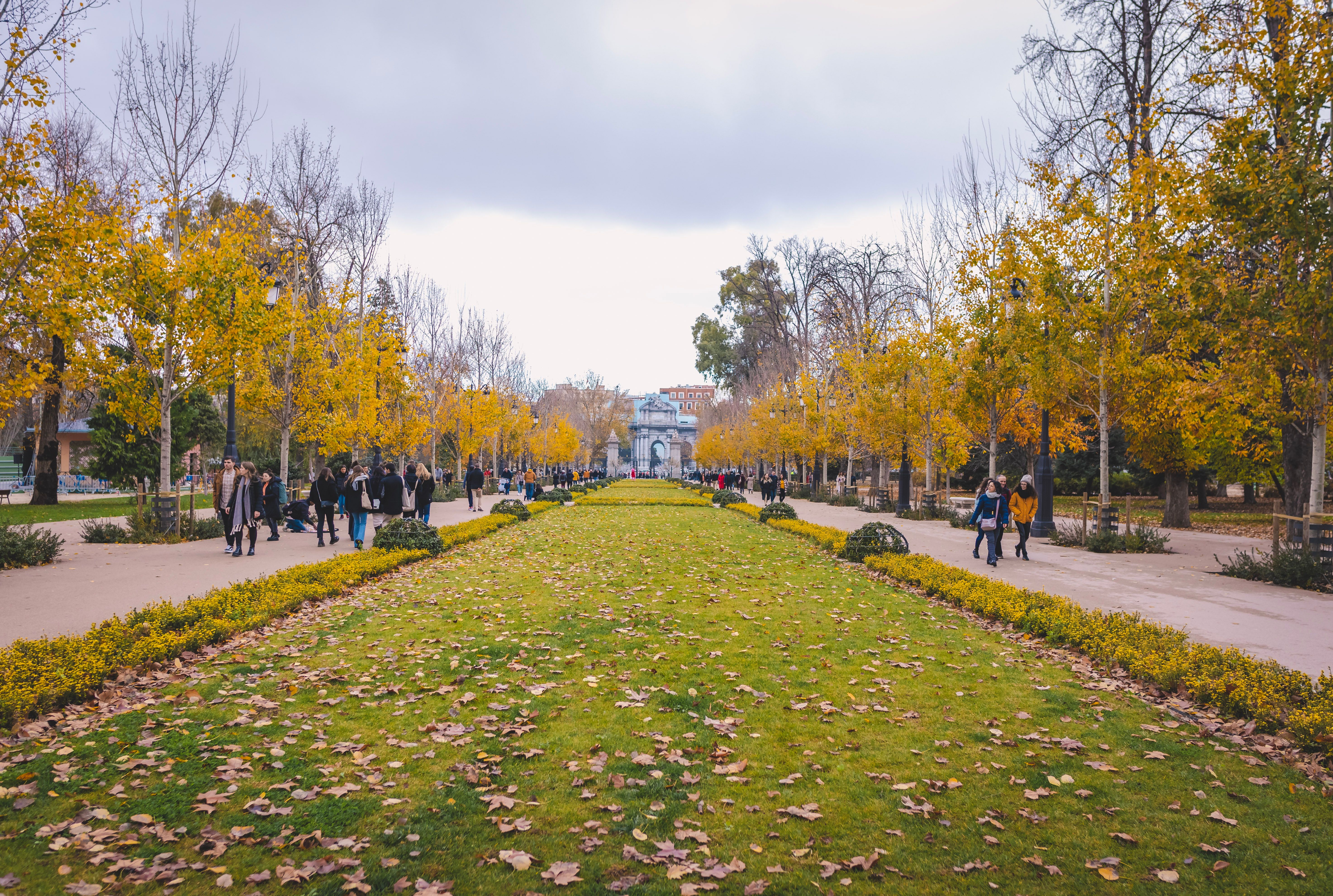 People walking through a park with trees and leaves · Free Stock Photo