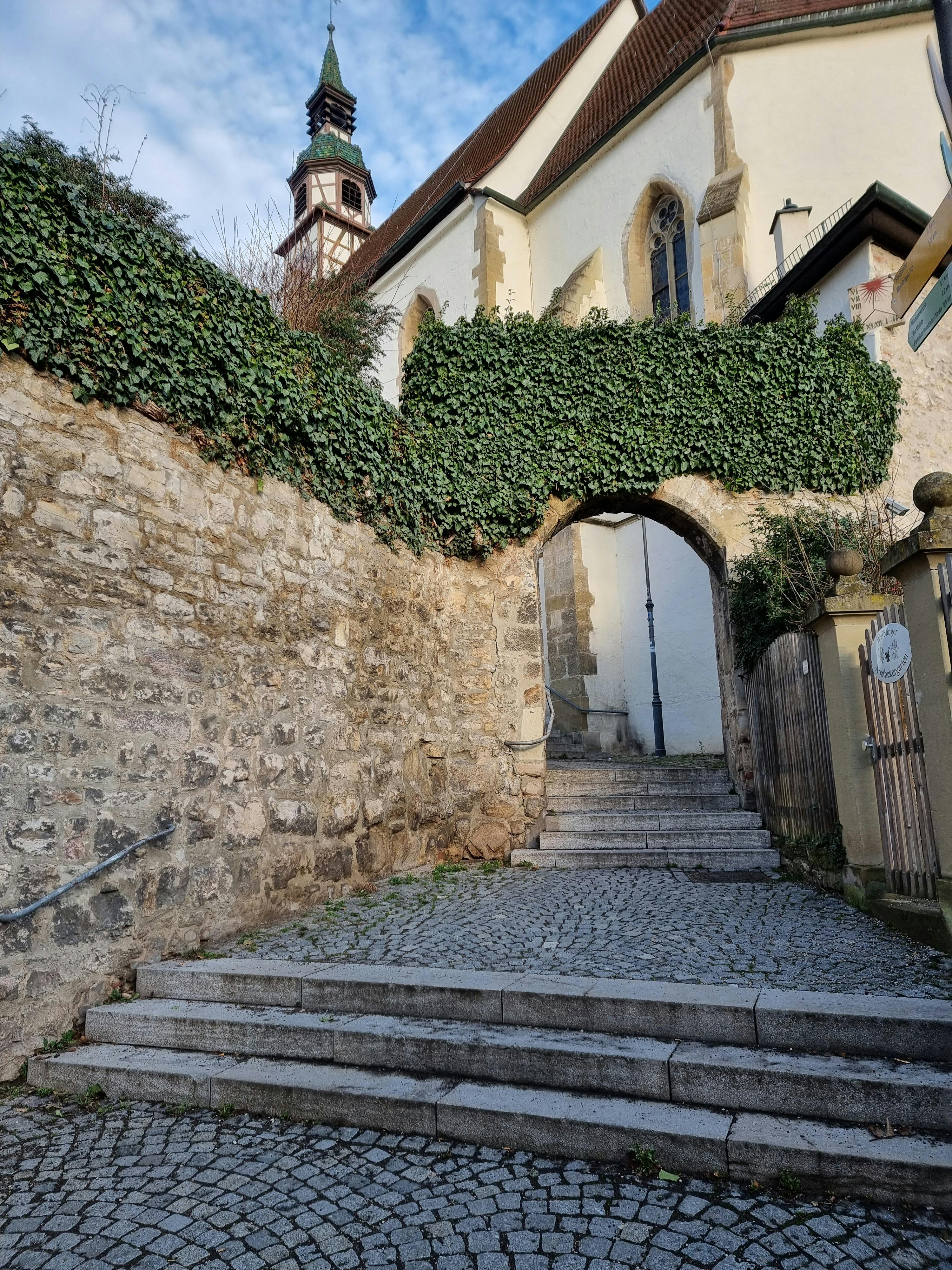 Ocho Alley Photos, Download The BEST Free Ocho Alley Stock Photos & HD ...