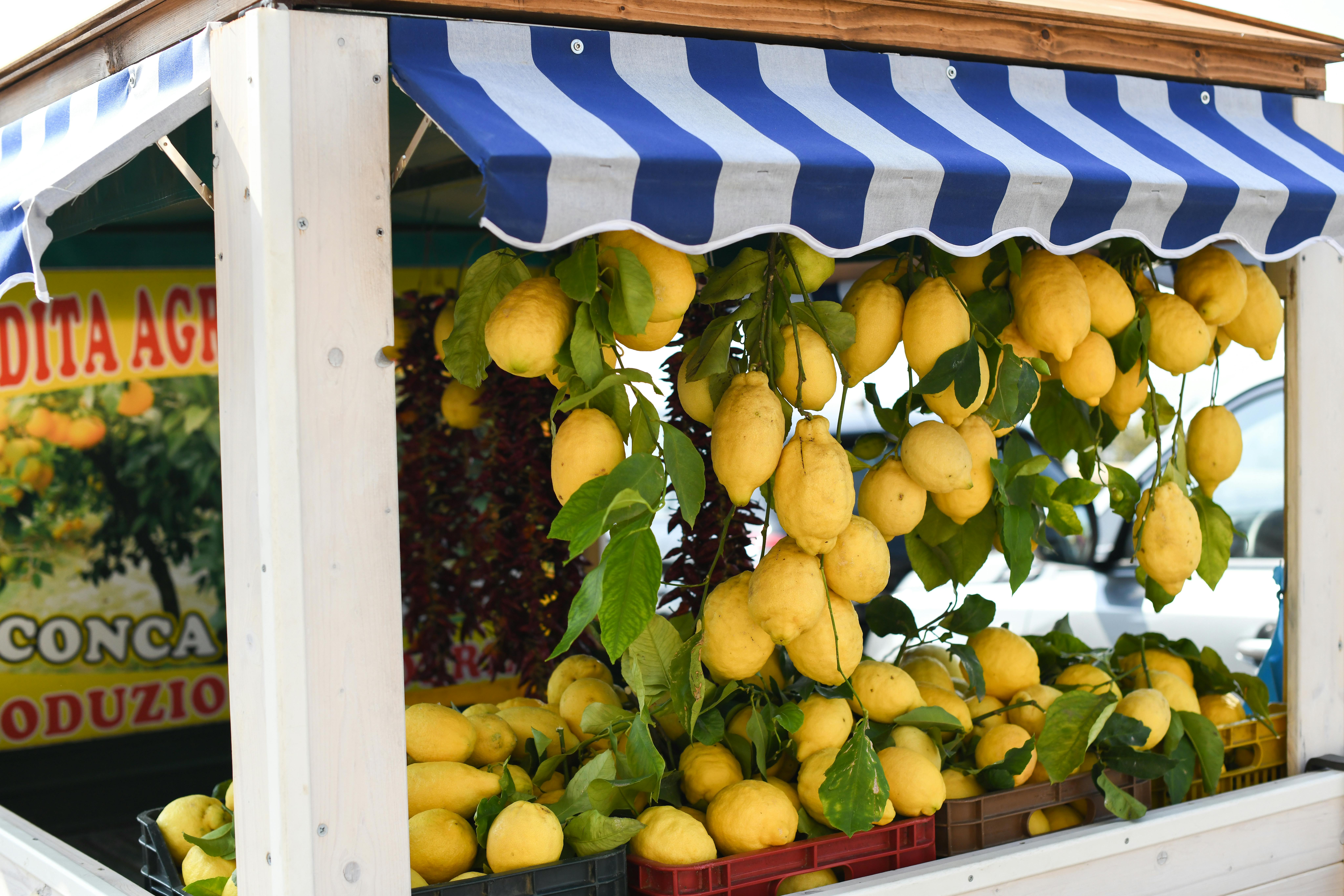 Local Market Selling Lemons · Free Stock Photo