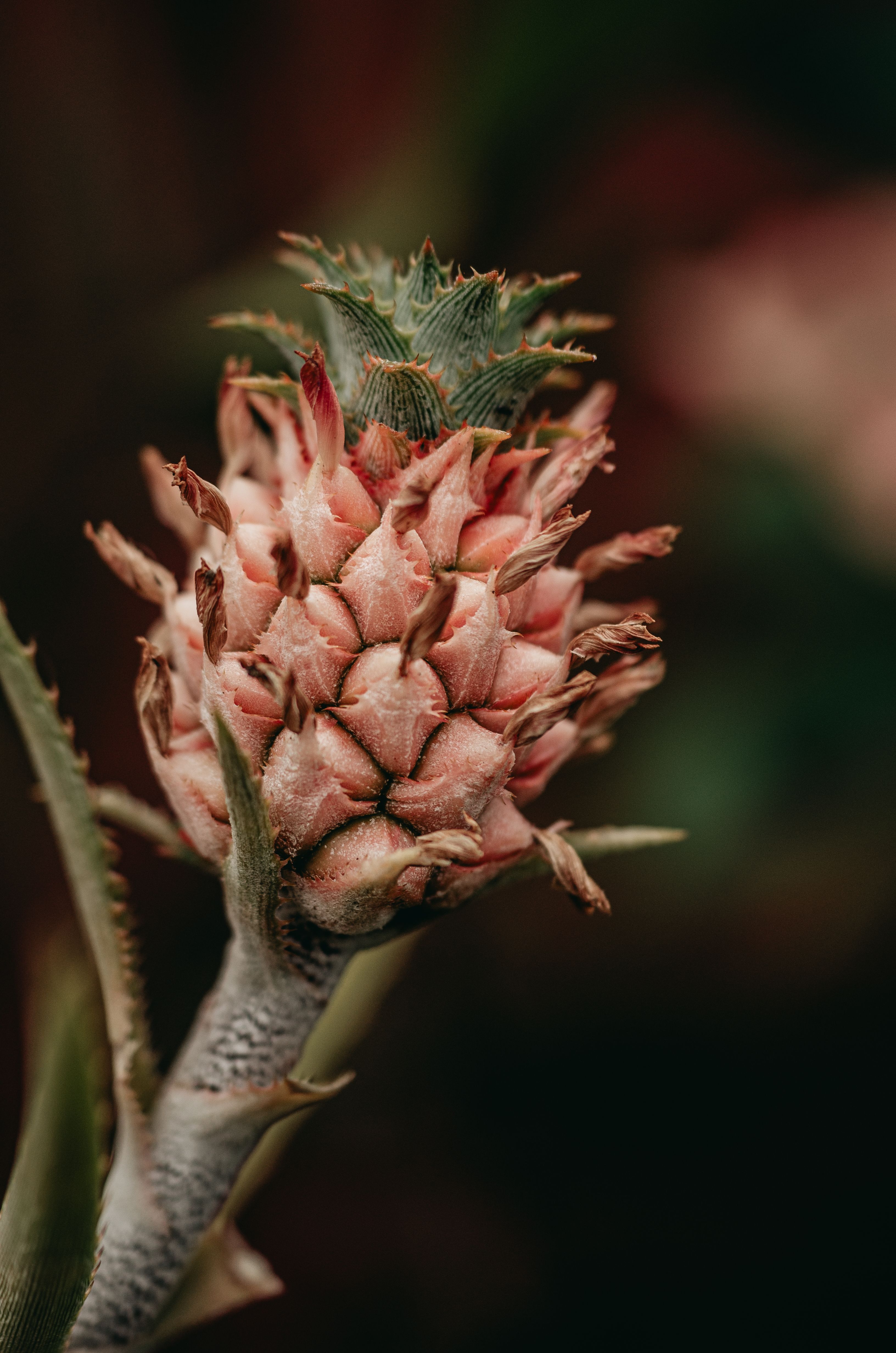 River Insects Photos, Download The BEST Free River Insects Stock Photos ...