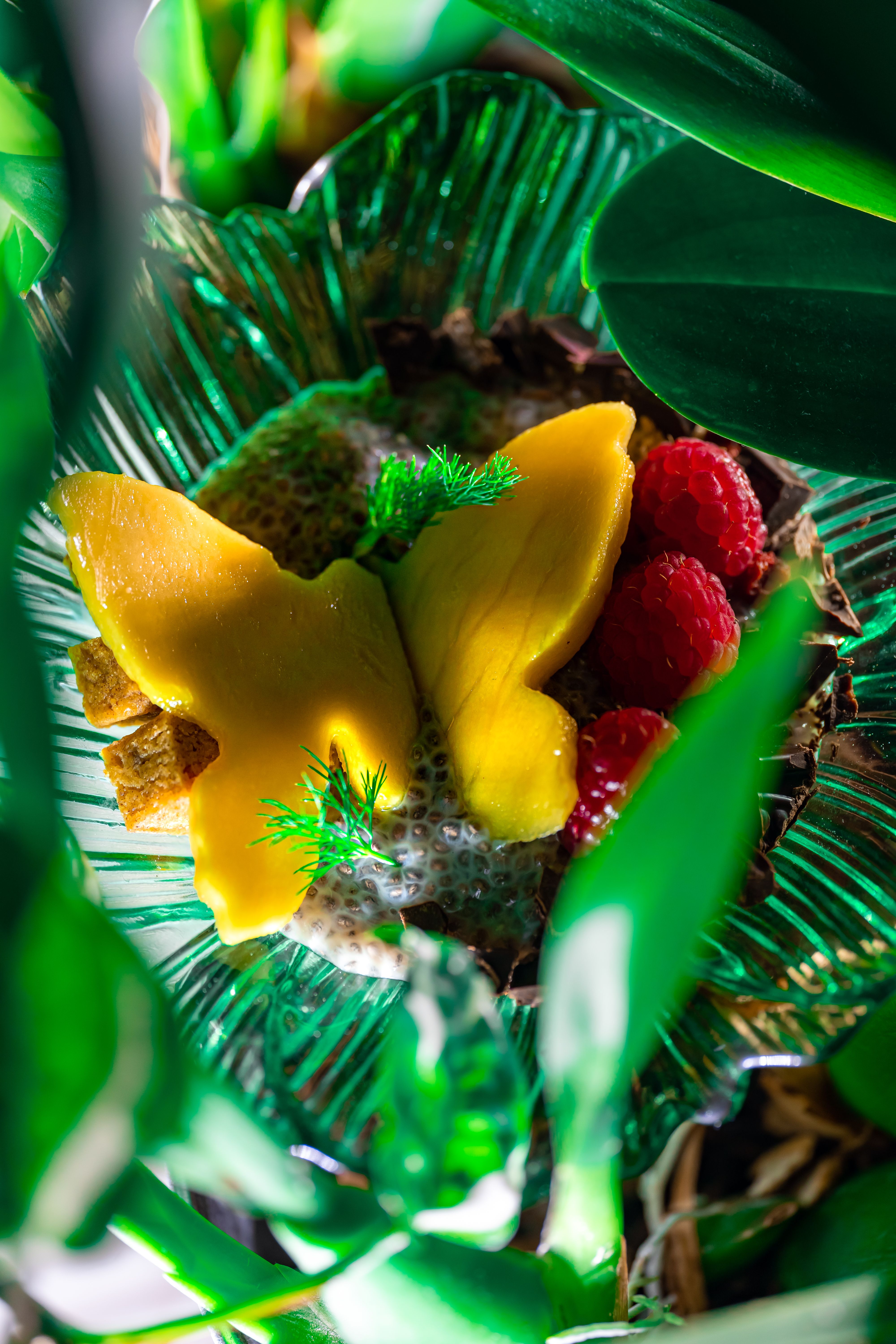 Leaves around Fruit · Free Stock Photo