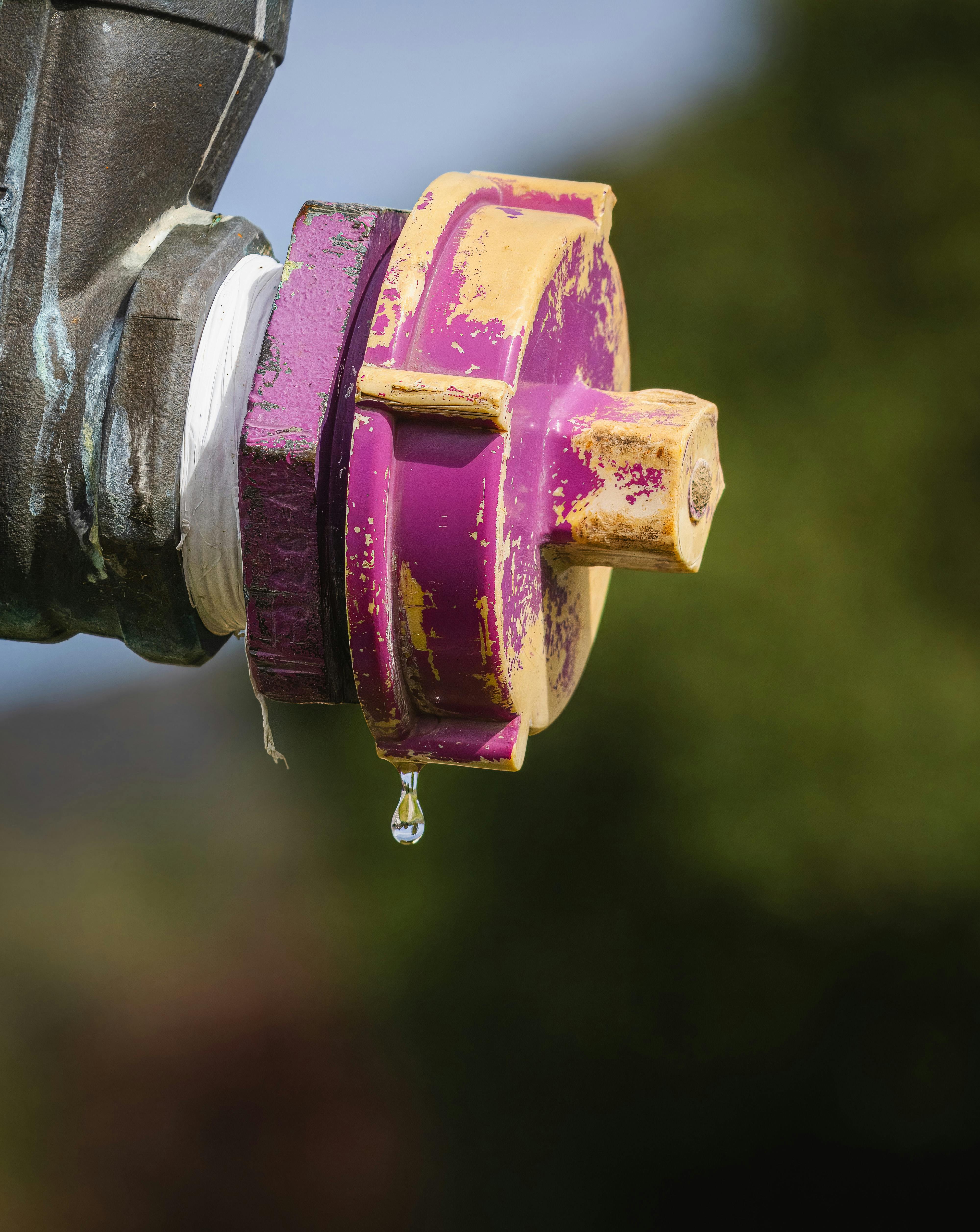 Purple Knob of Fire Hydrant · Free Stock Photo