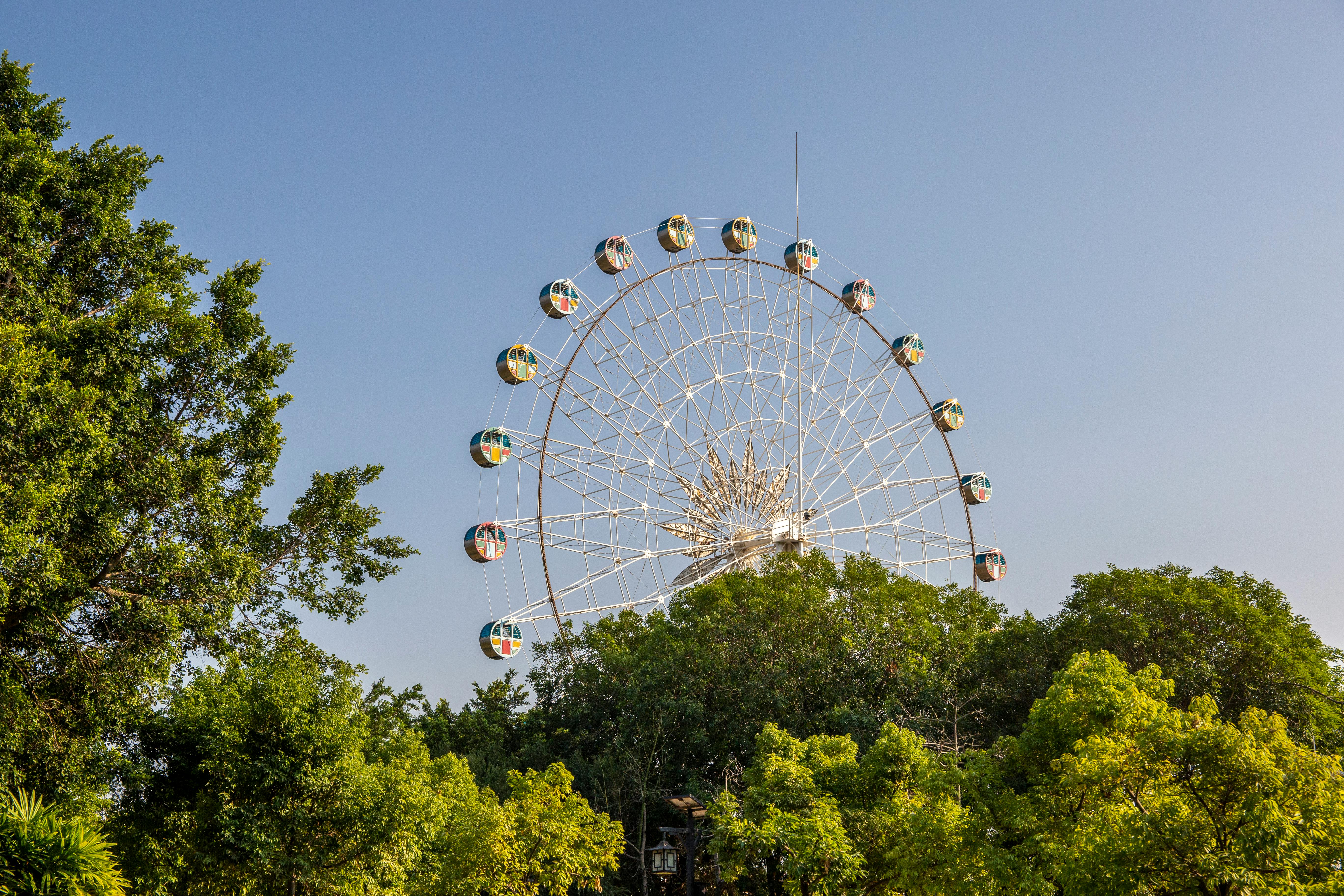 Ferris Wheel behind Forest Trees · Free Stock Photo