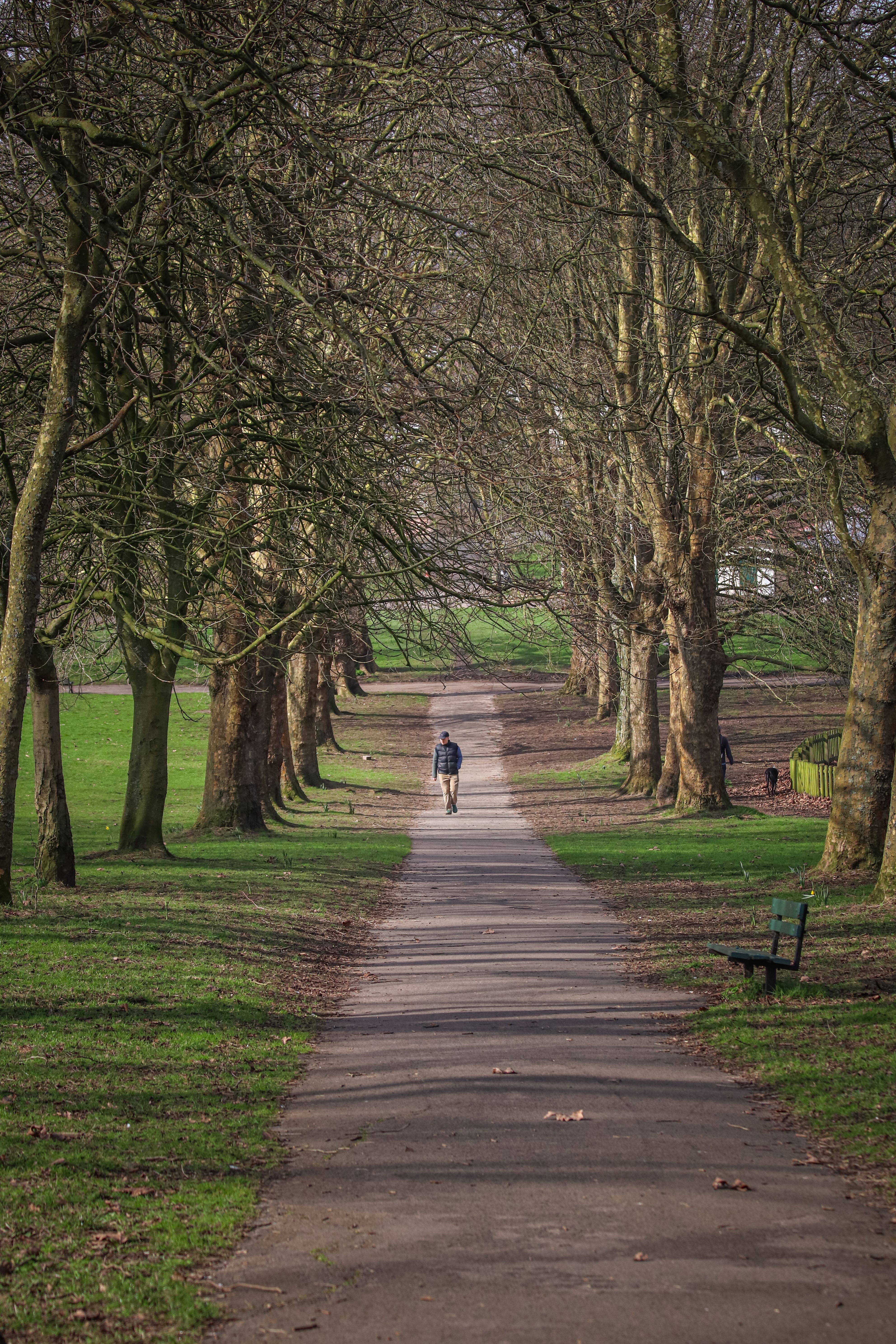 A person walking down a path in a park · Free Stock Photo
