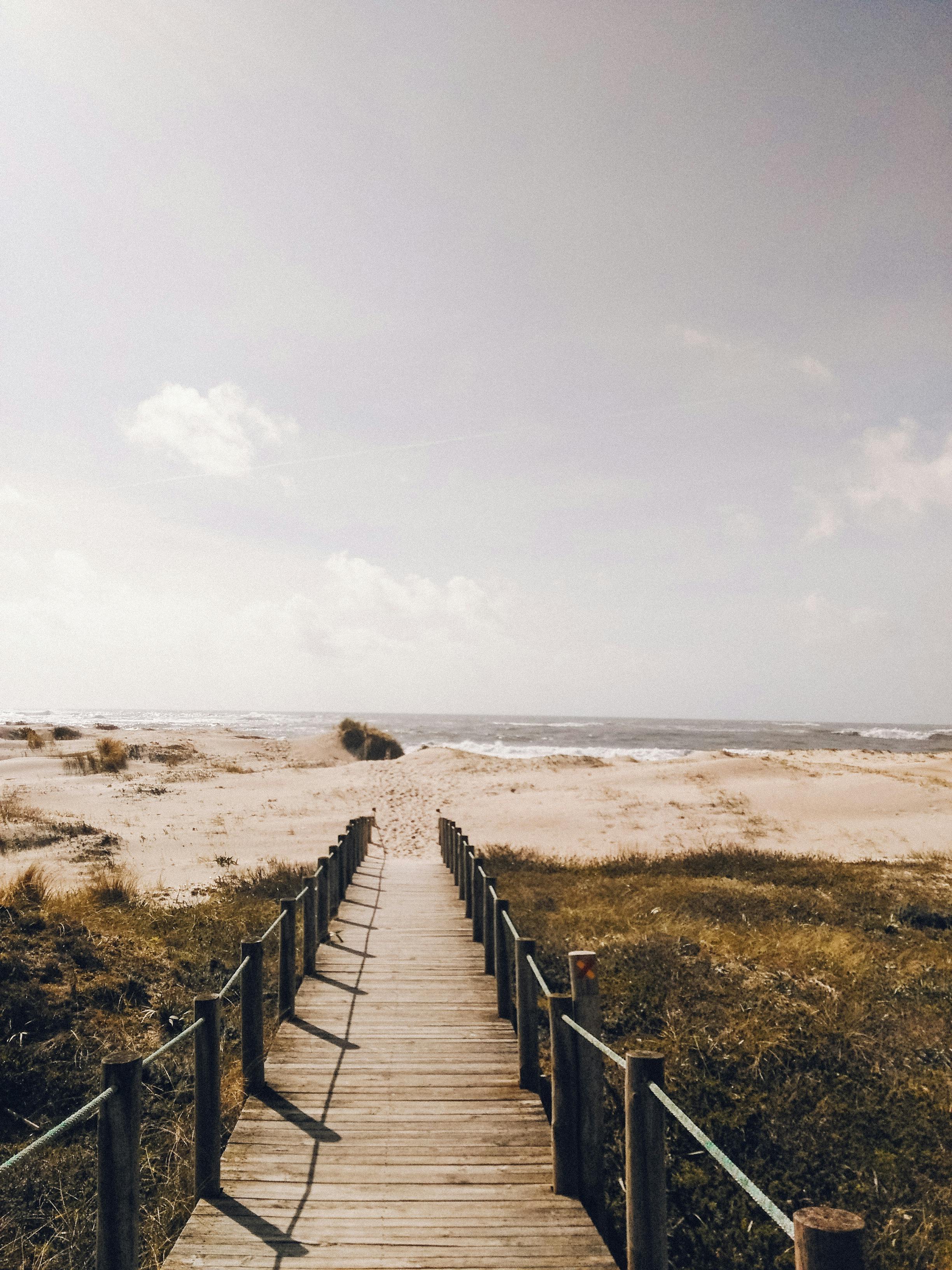 Seas Eater Photos, Download The BEST Free Seas Eater Stock Photos & HD ...