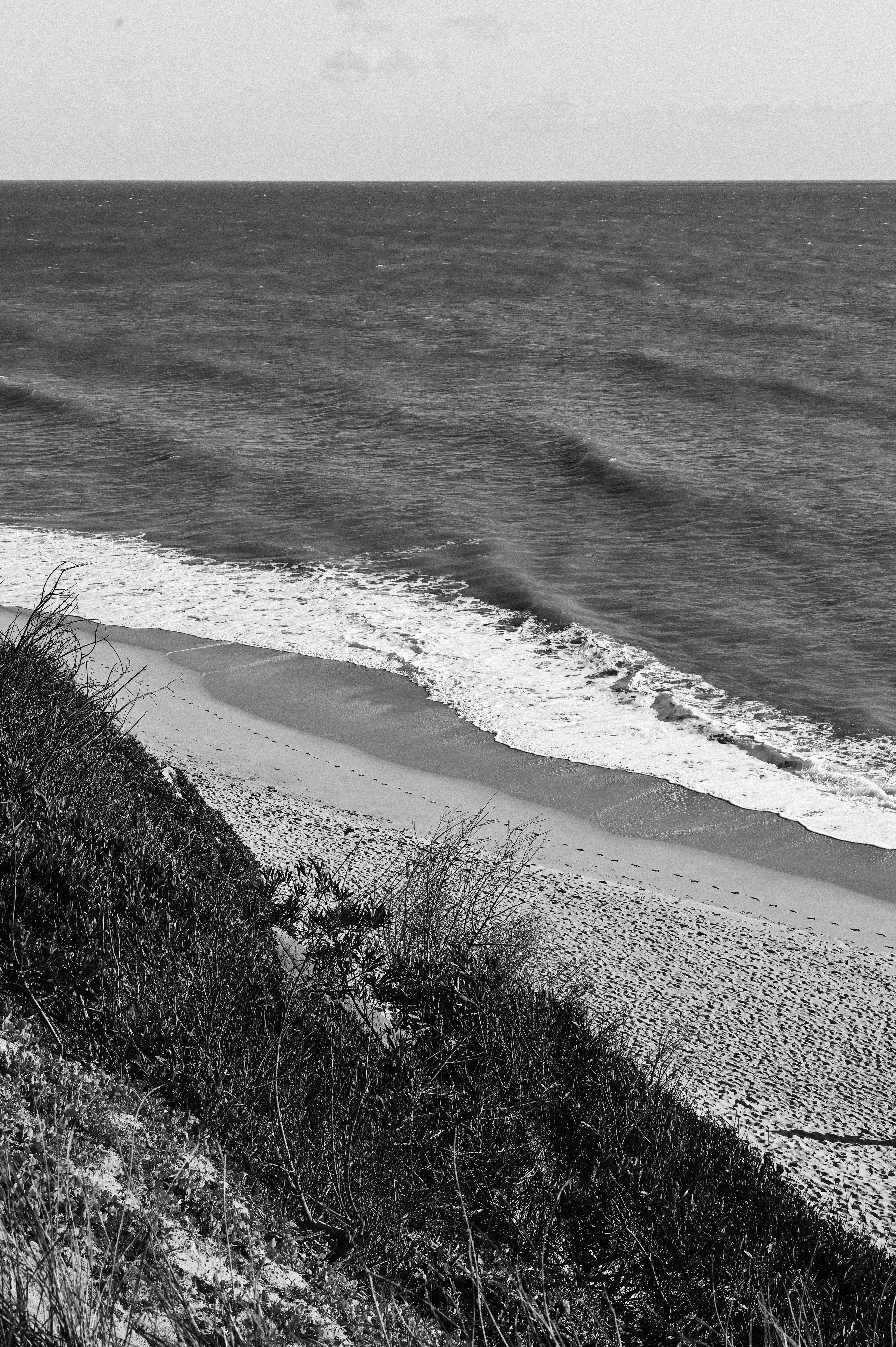 Black and White Photo of a Foamy Wave Washing Up the Beach · Free Stock ...