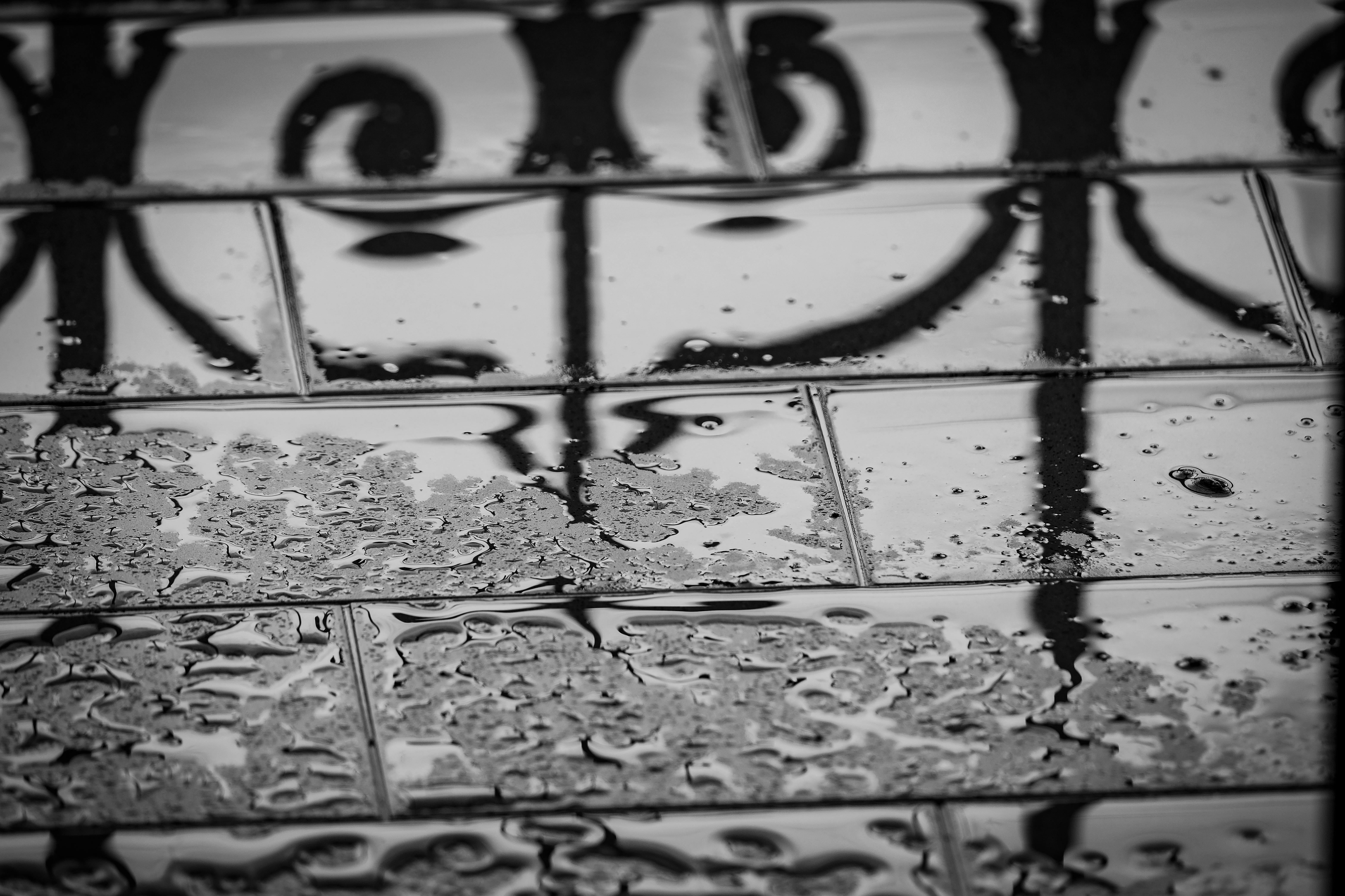 Puddle on Pavers with Shadows of Fence · Free Stock Photo
