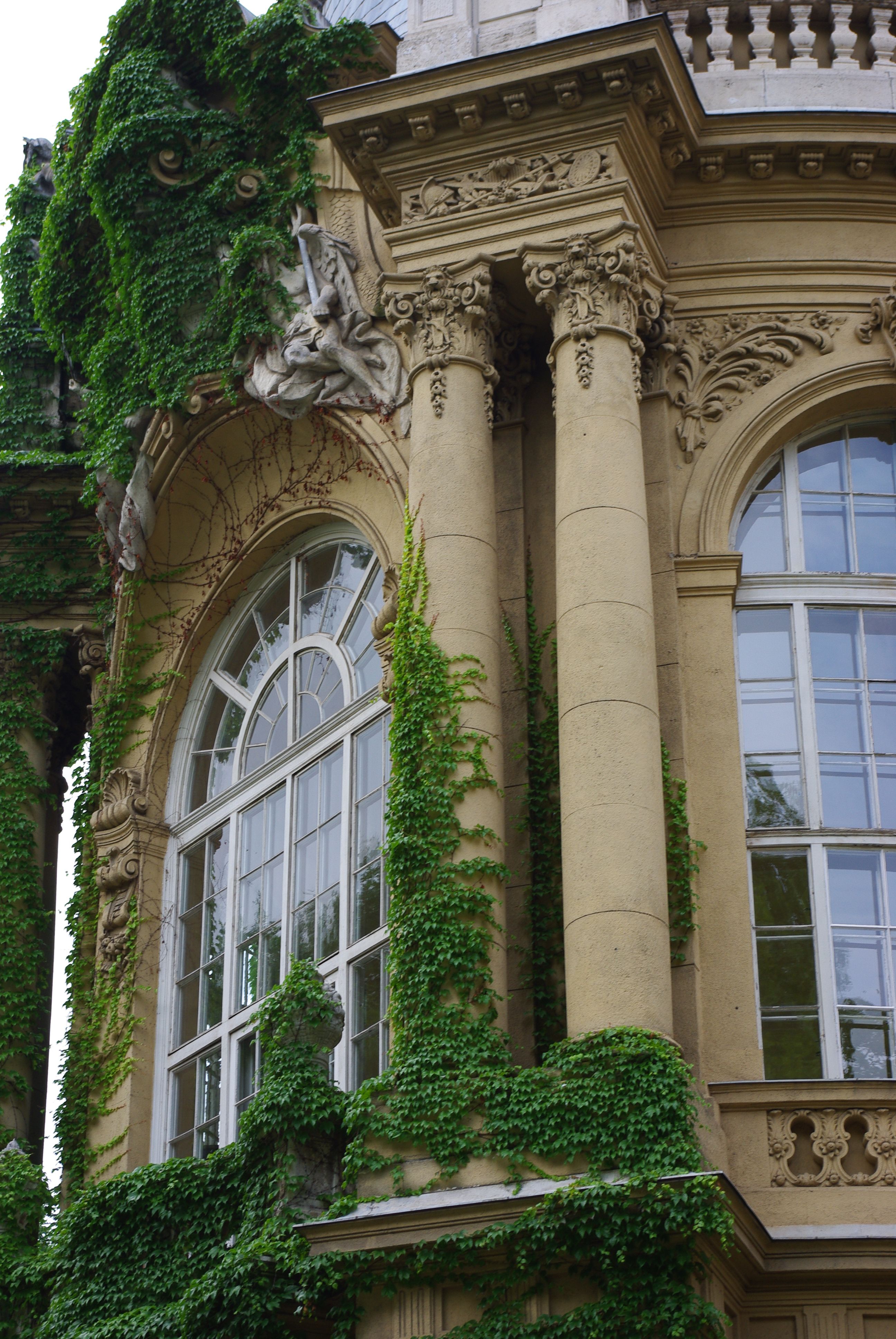 Columns and Ivy on Wall of Vintage Palace · Free Stock Photo