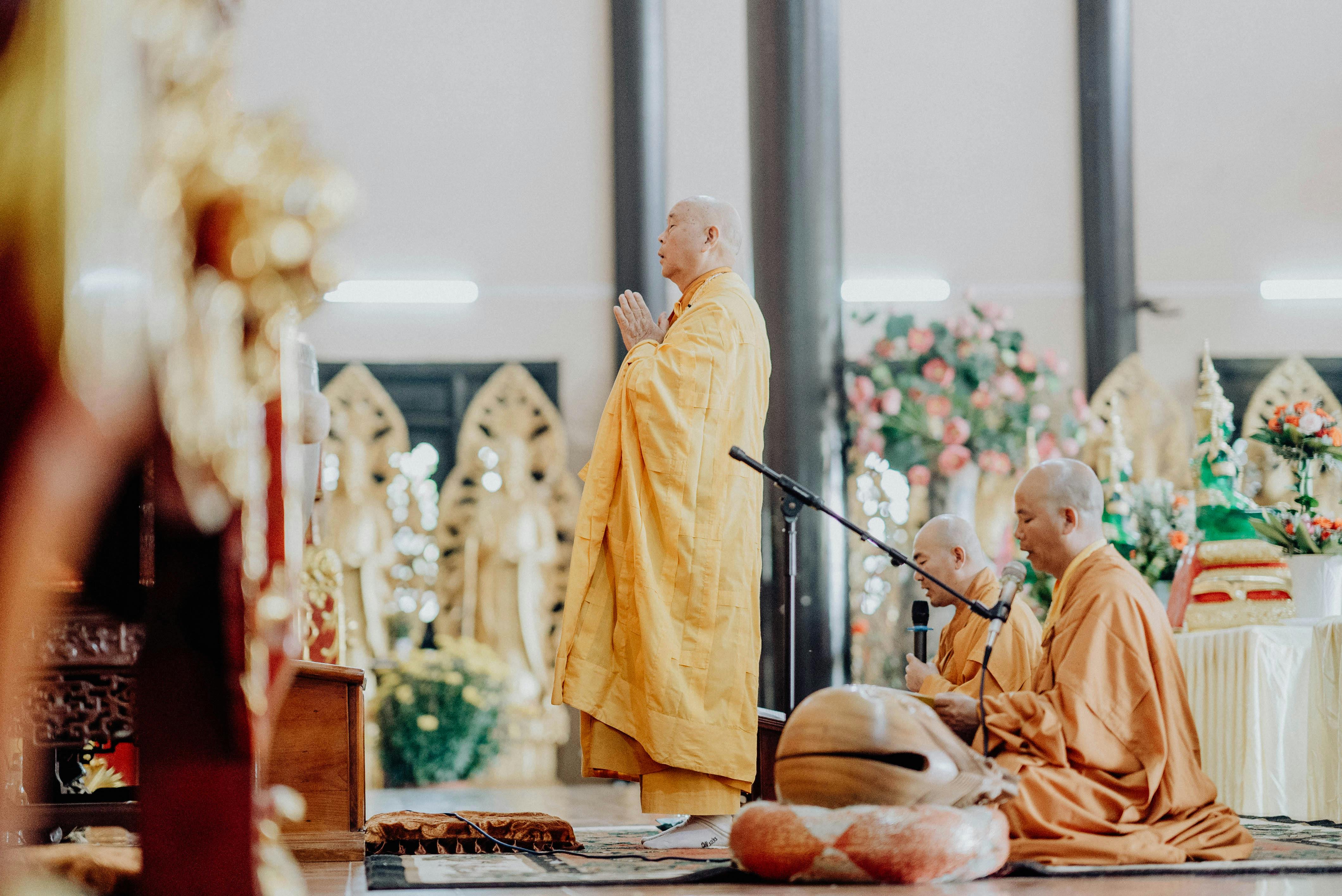 Holy No Dong Photos, Download The BEST Free Holy No Dong Stock Photos ...